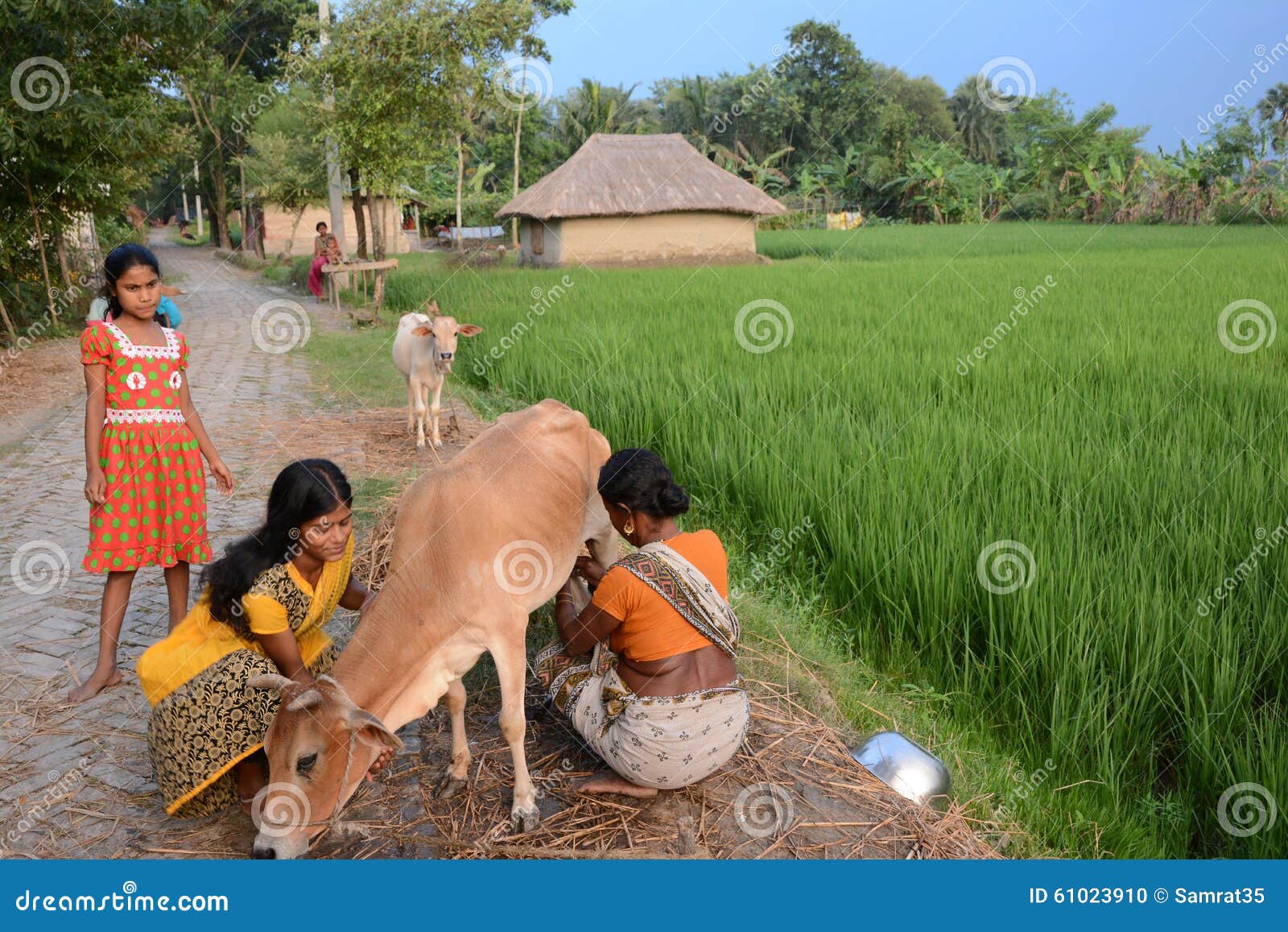 Forma de vida rural imagen editorial. Imagen de camino - 61023910