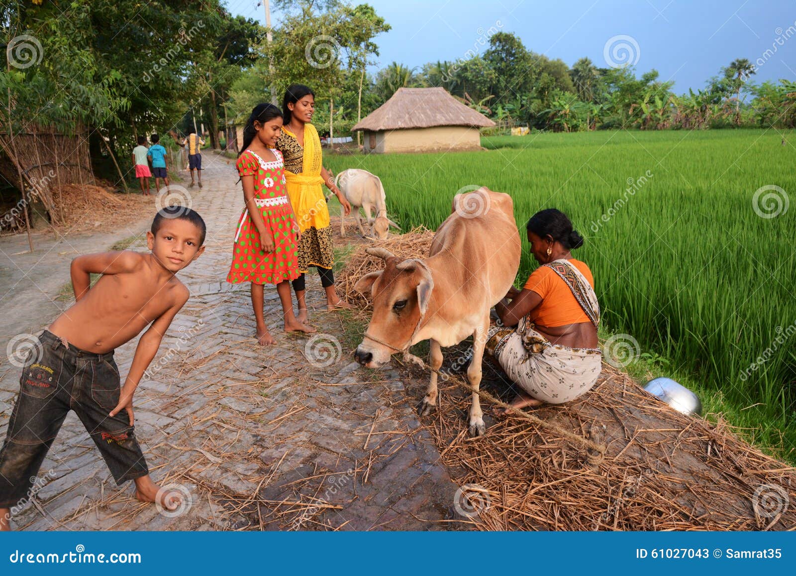 Forma de vida rural foto de archivo editorial. Imagen de adolescente ...