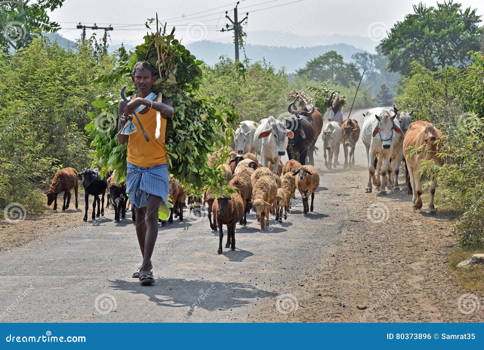 Forma de vida rural foto editorial. Imagen de indios - 80373896