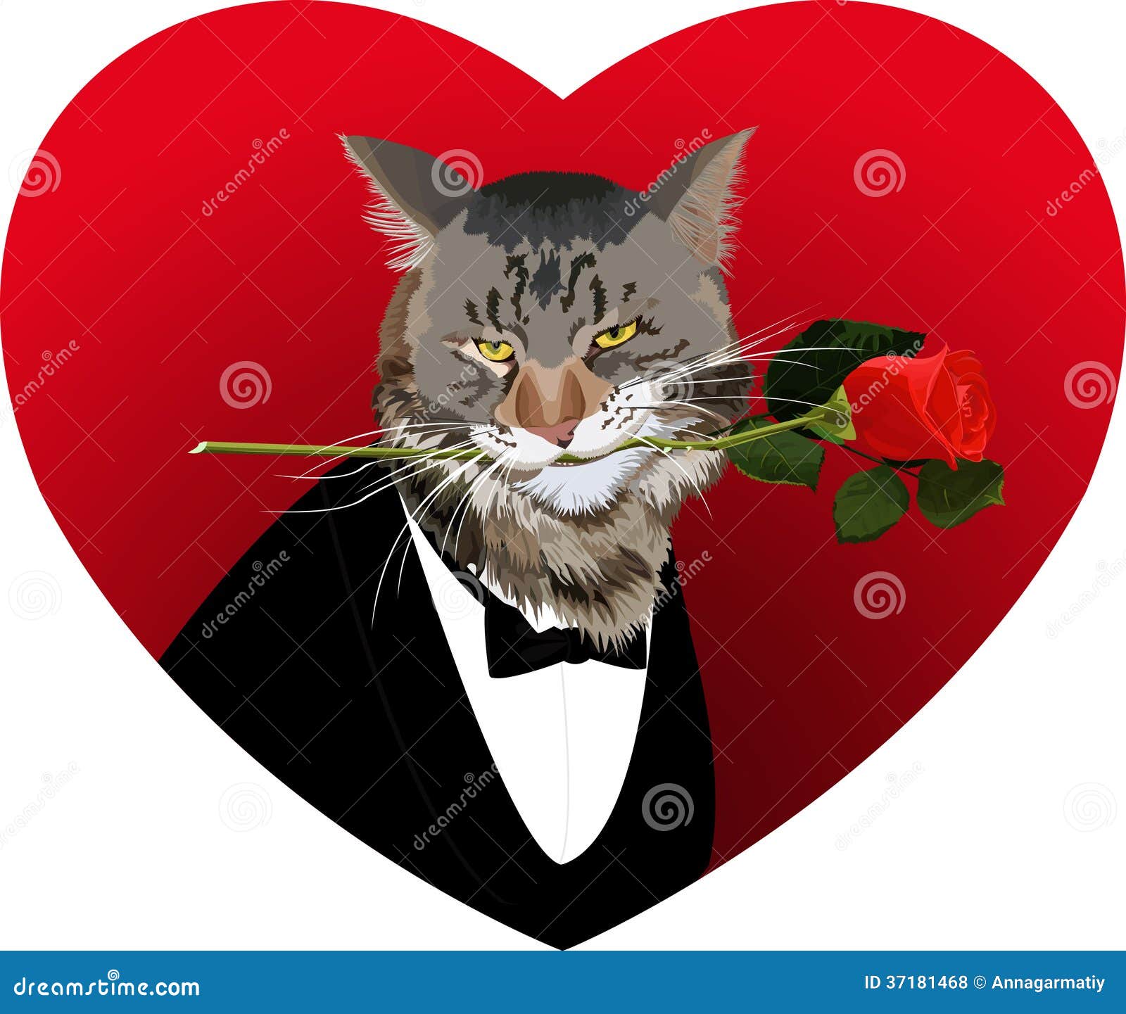 Forma Del Cuore, Gatto E Una Rosa Rossa Illustrazione di Stock ...