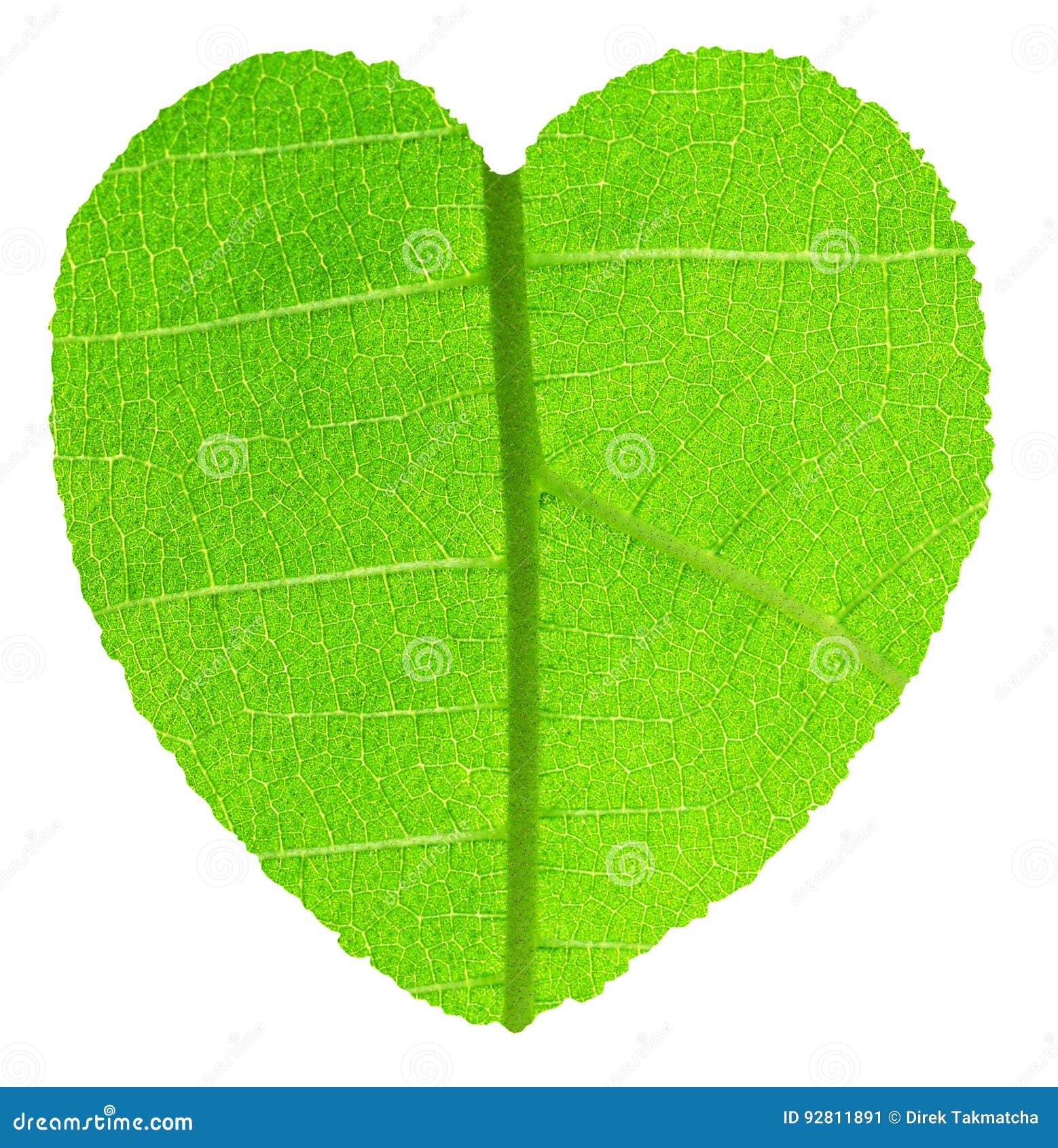 Forma verde del corazón imagen de archivo. Imagen de detalle - 92811891