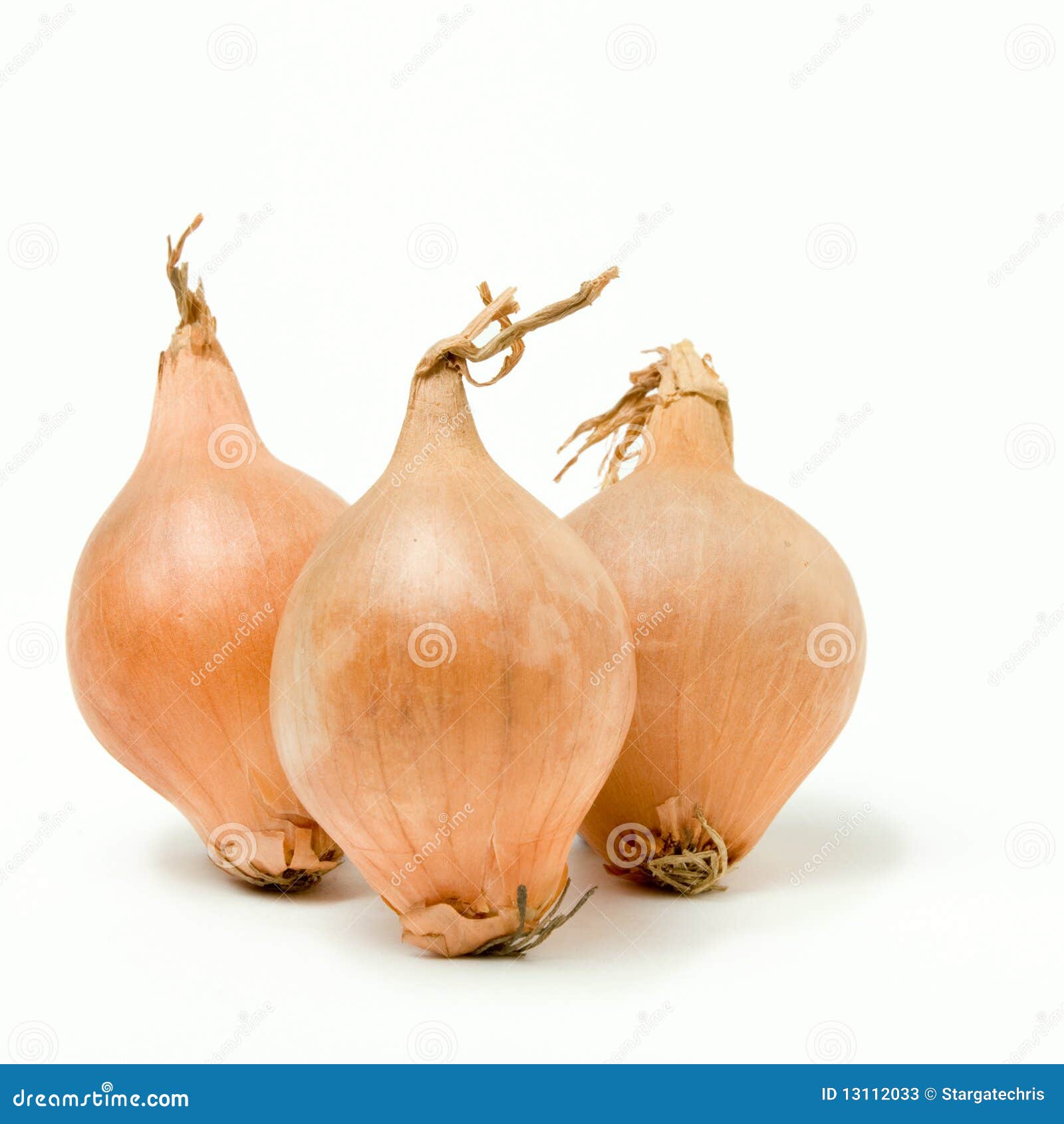 Formación del chalote imagen de archivo. Imagen de resorte - 13112033