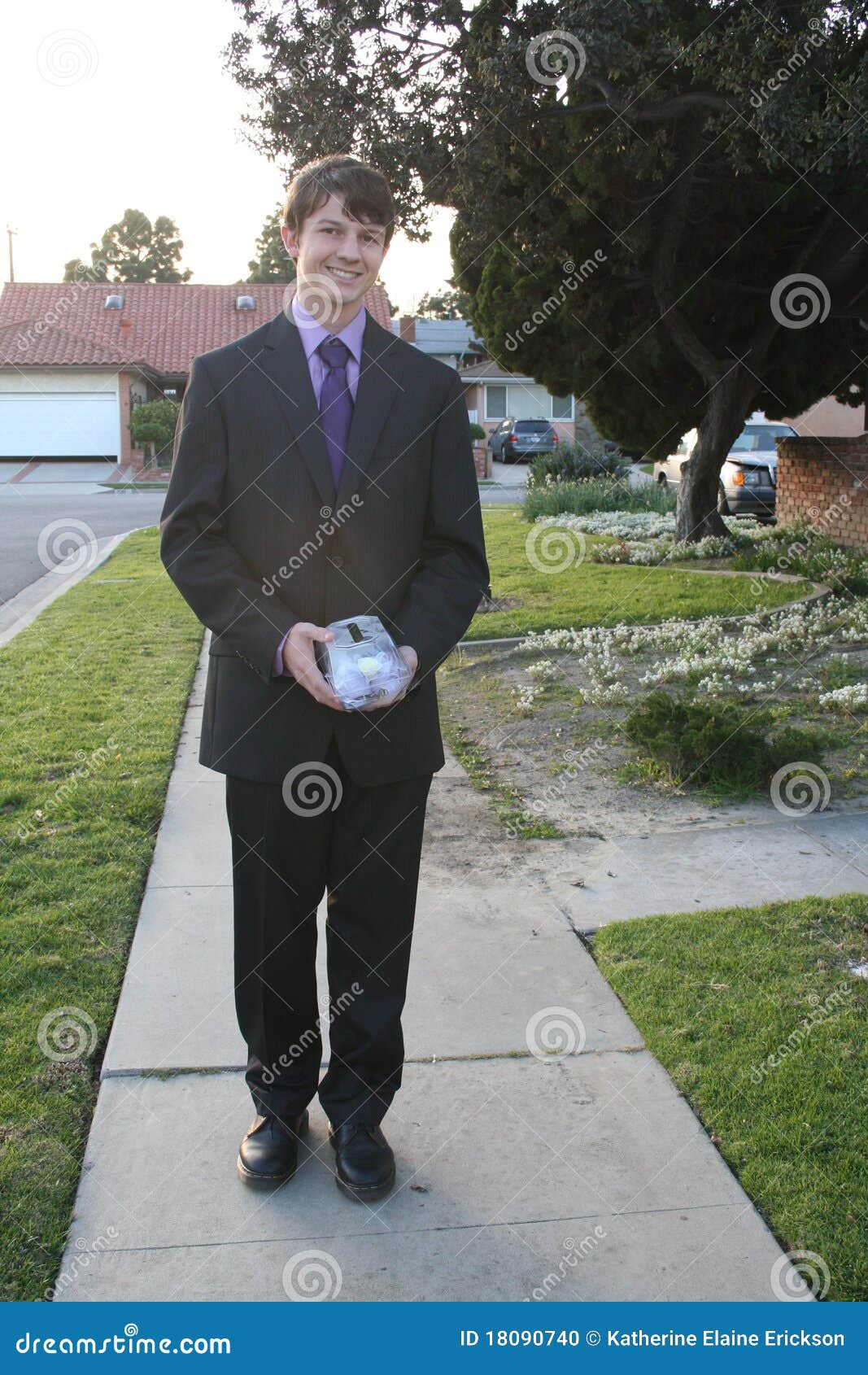 Formal Dude stock photo. Image of clothers, male, suit - 18090740