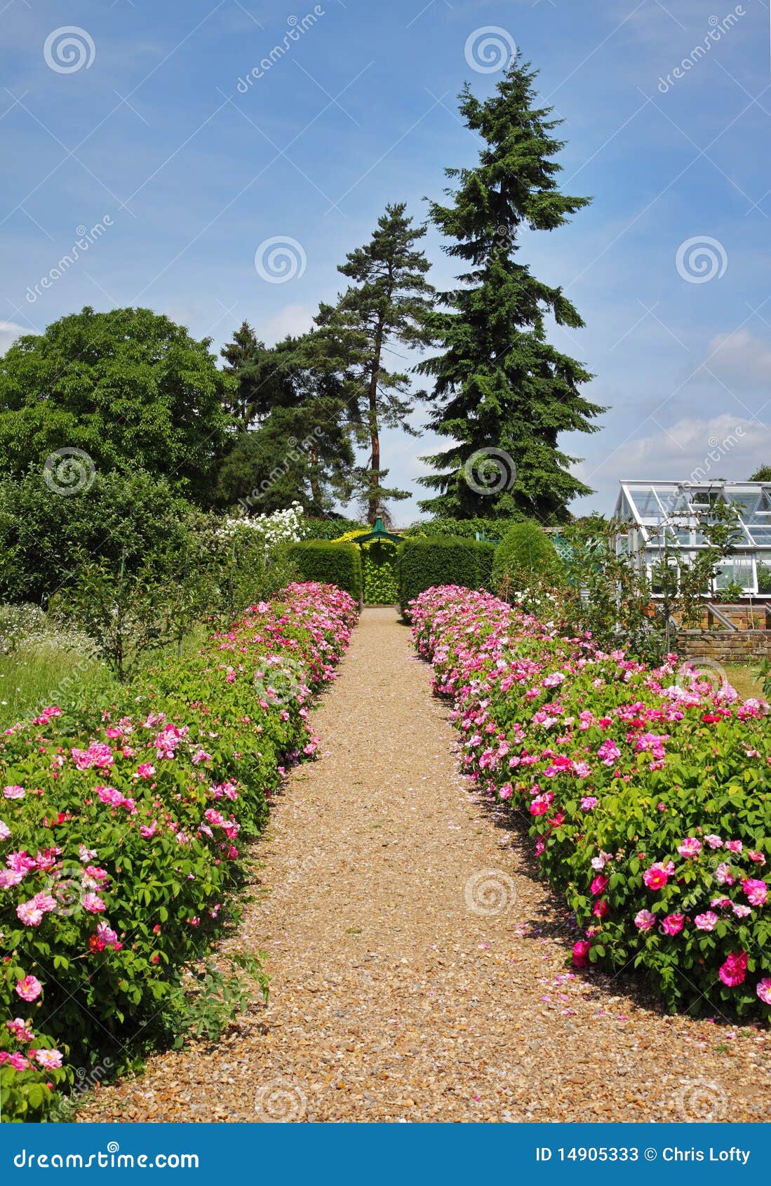 Formal English Garden with Flower Strewn Path Stock Image - Image of ...