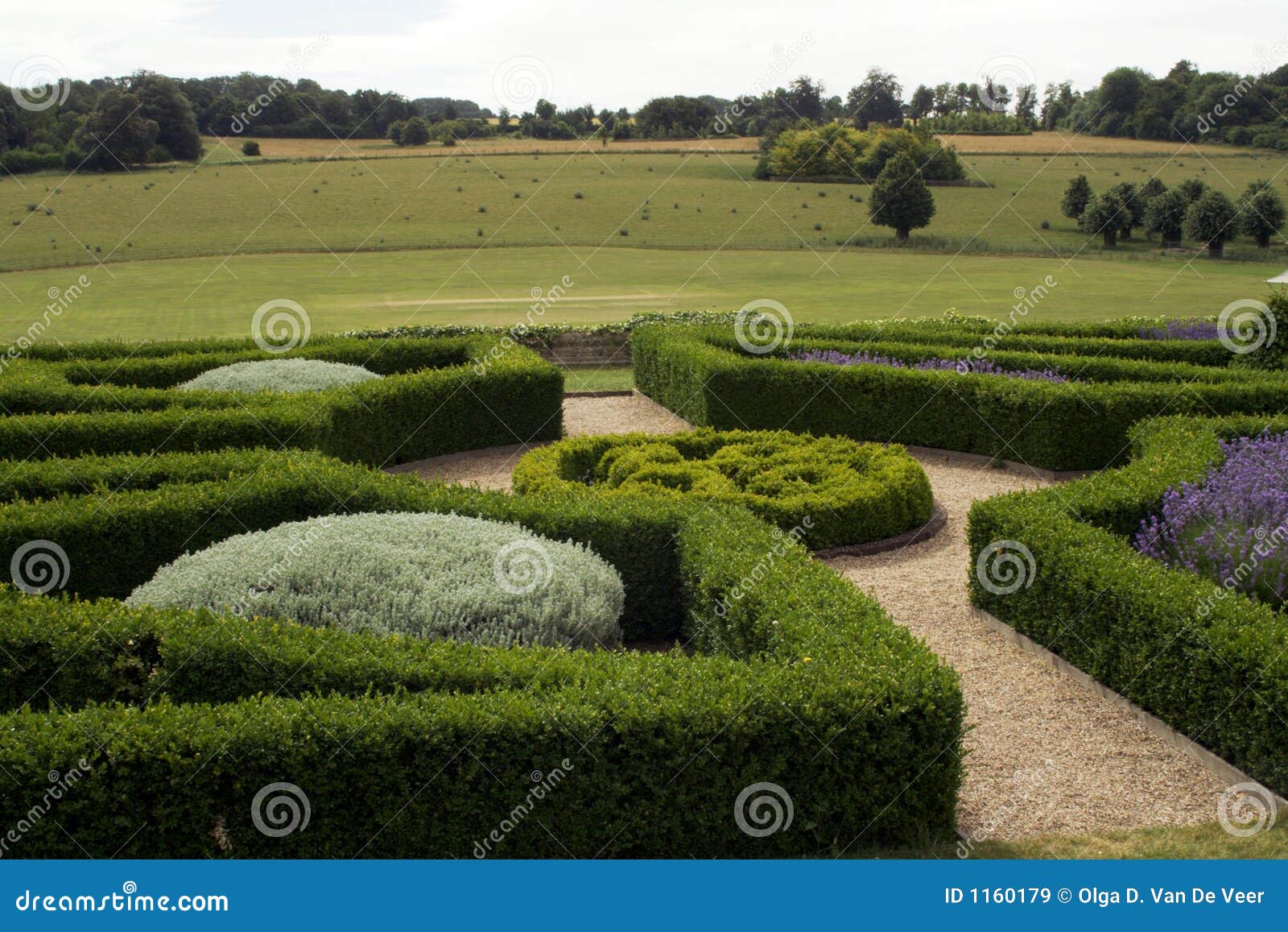 Formal garden stock image. Image of brittain, british - 1160179