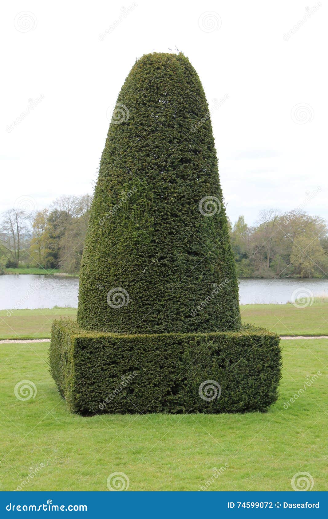 Yew Topiary Formal Garden Stock Image | CartoonDealer.com #56394409