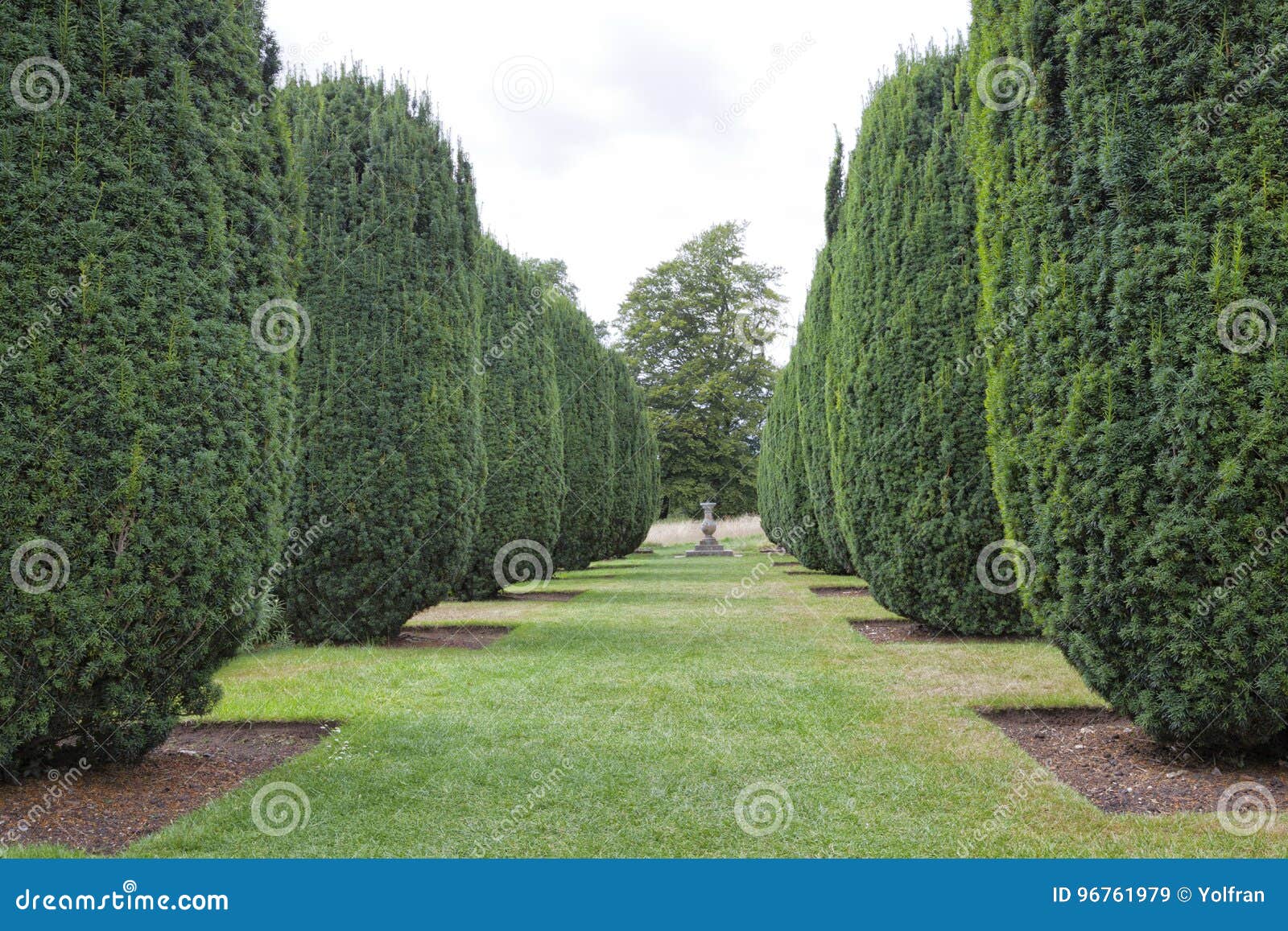 339 Formal Yew Topiary Garden Stock Photos - Free & Royalty-Free Stock ...
