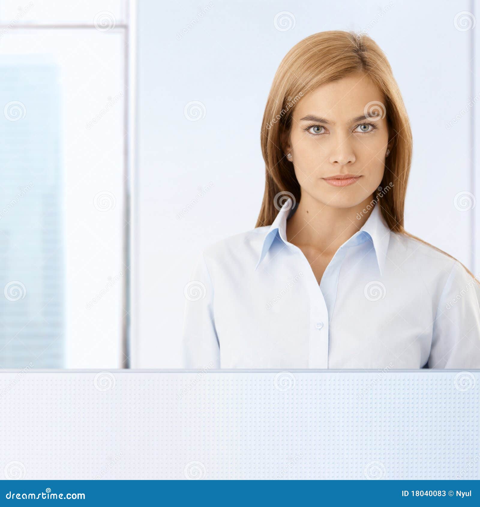 Formal Portrait of Smart Woman Stock Image - Image of confidence ...