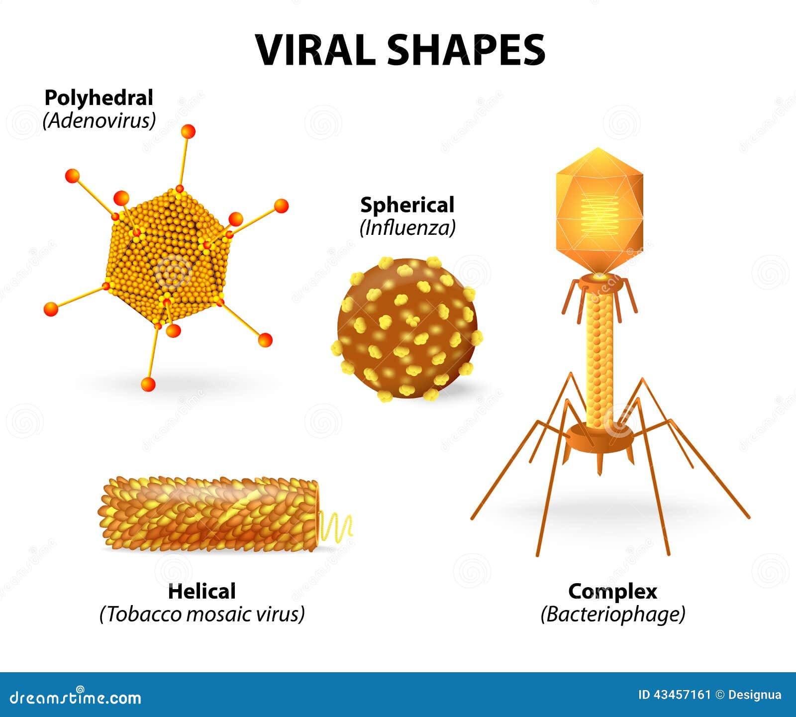 Formas de virus ilustración del vector. Ilustración de médico - 43457161
