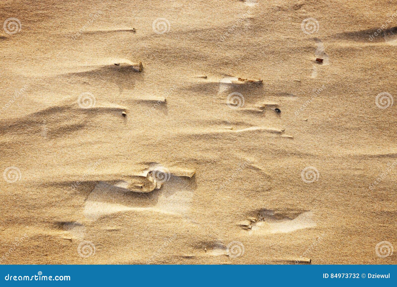 Formas Naturales En La Arena Foto de archivo - Imagen de océano ...