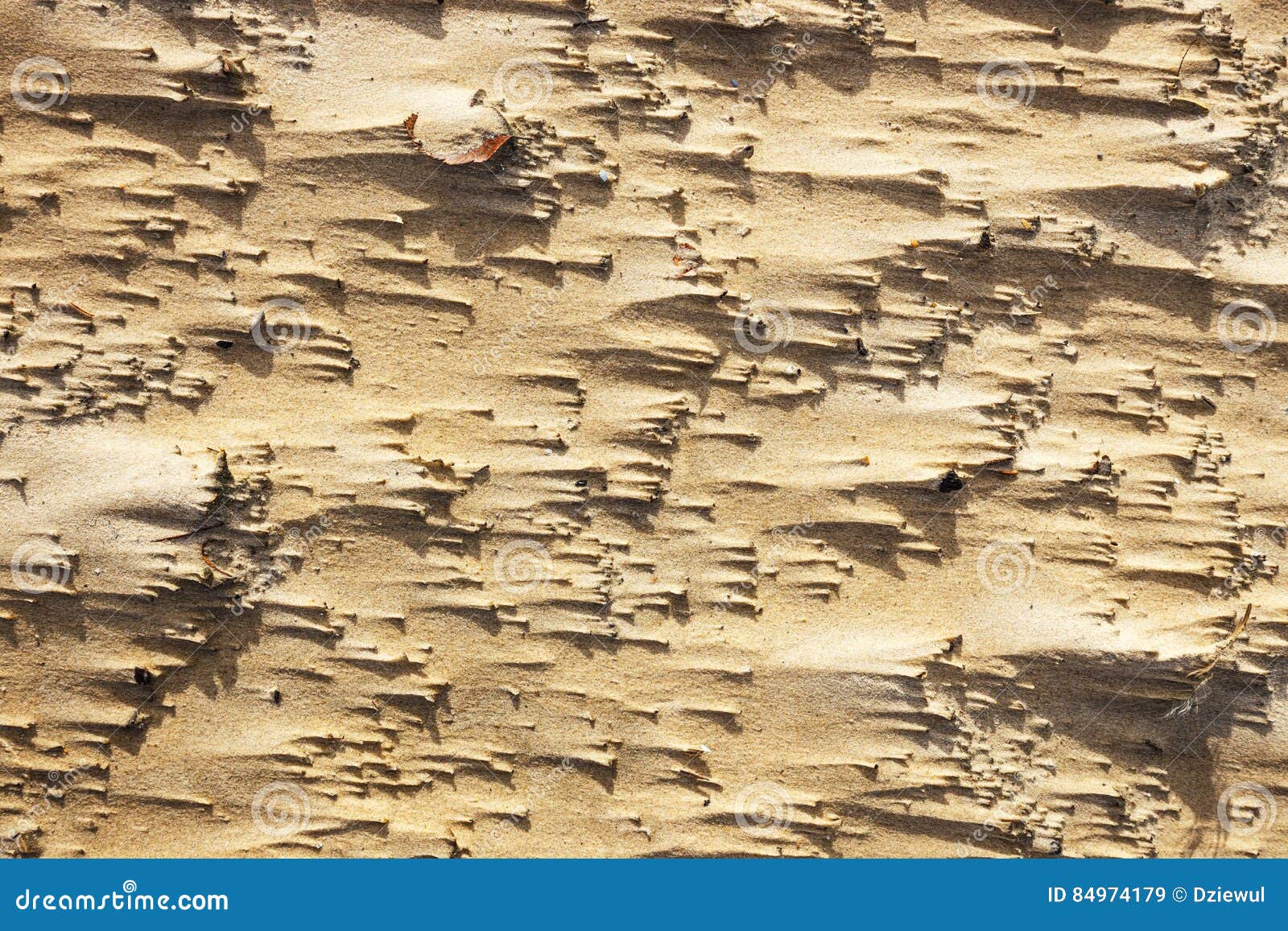 Formas Naturales En La Arena Imagen de archivo - Imagen de primer ...