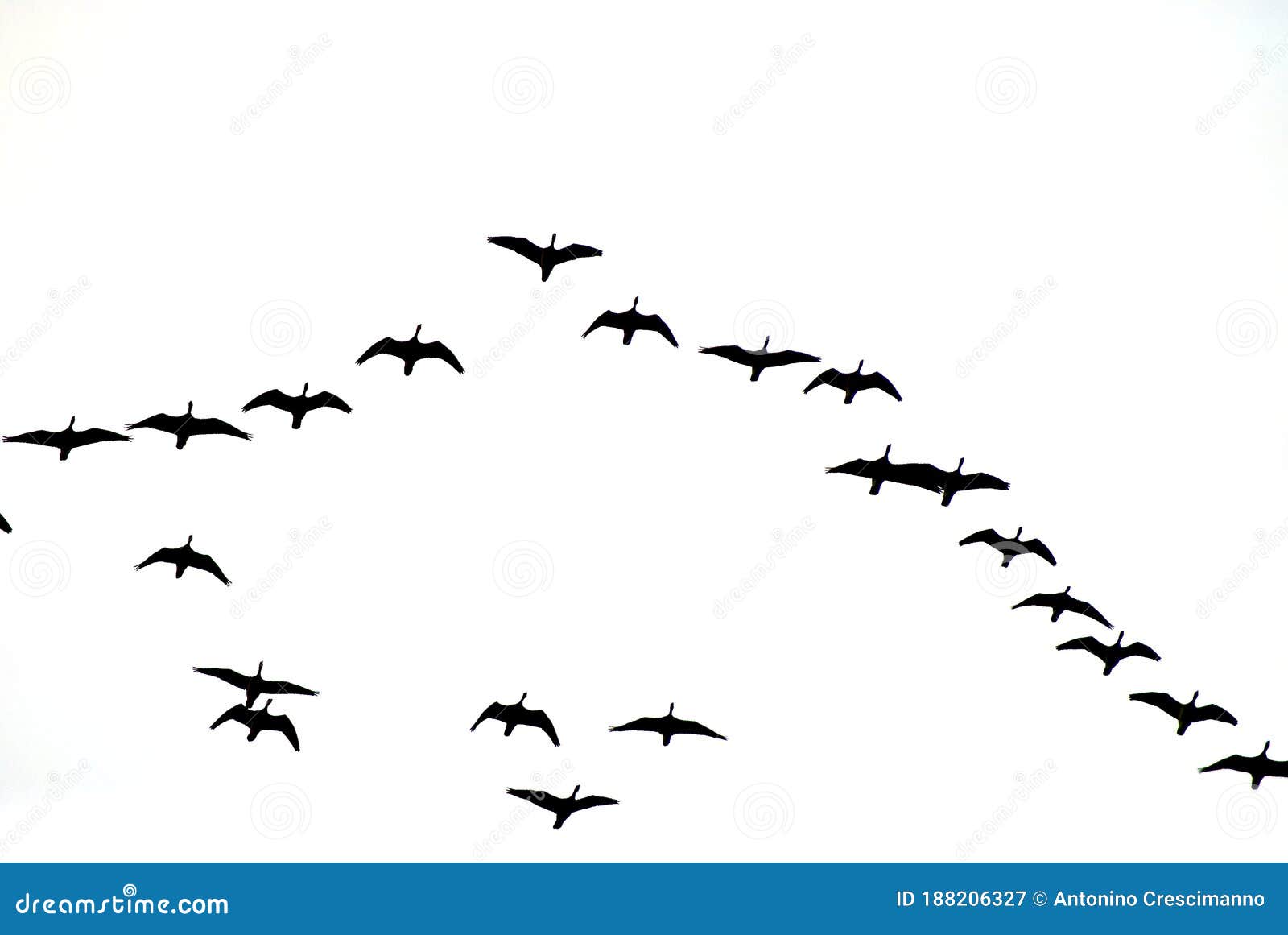 Formation of Birds in Migration Stock Illustration - Illustration of ...