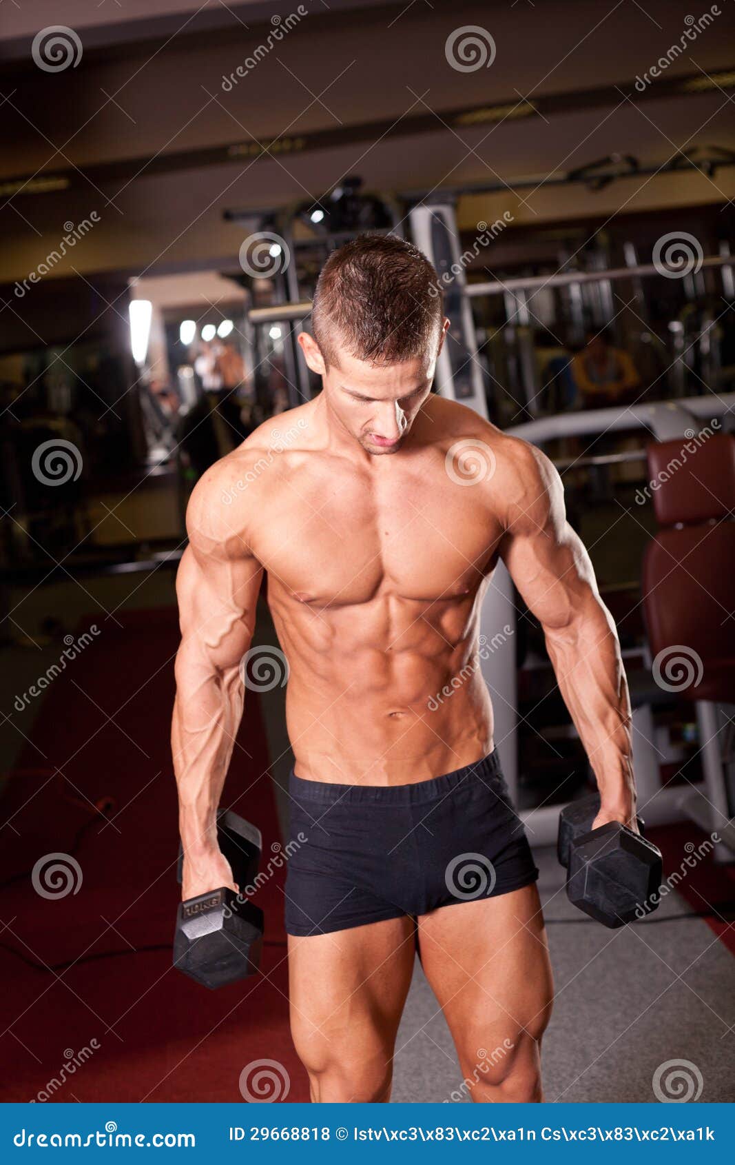 Formation de culturiste photo stock. Image du bodybuilder - 29668818