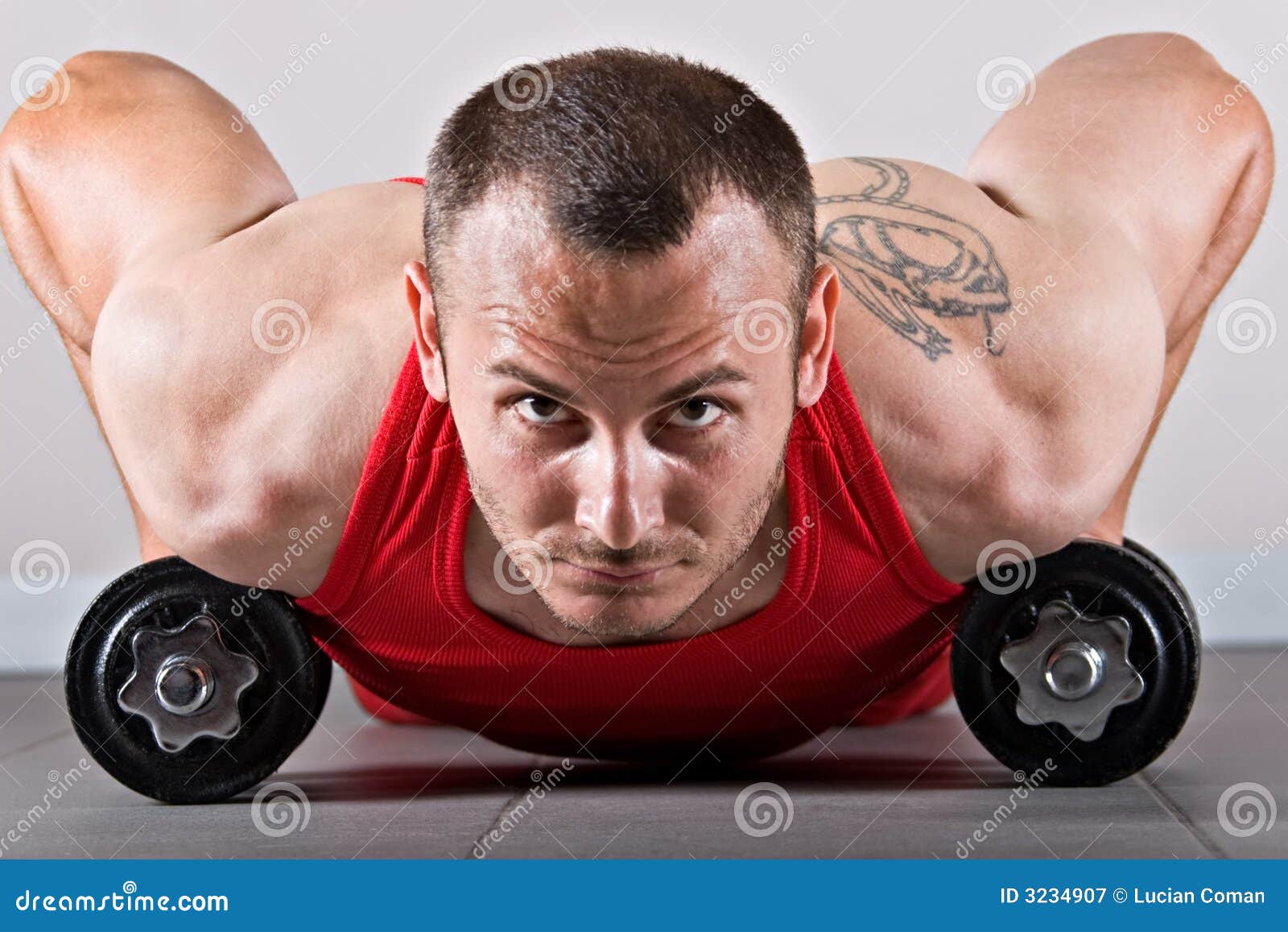 Formation De Forme Physique Image stock - Image du étage, muscle: 3234907