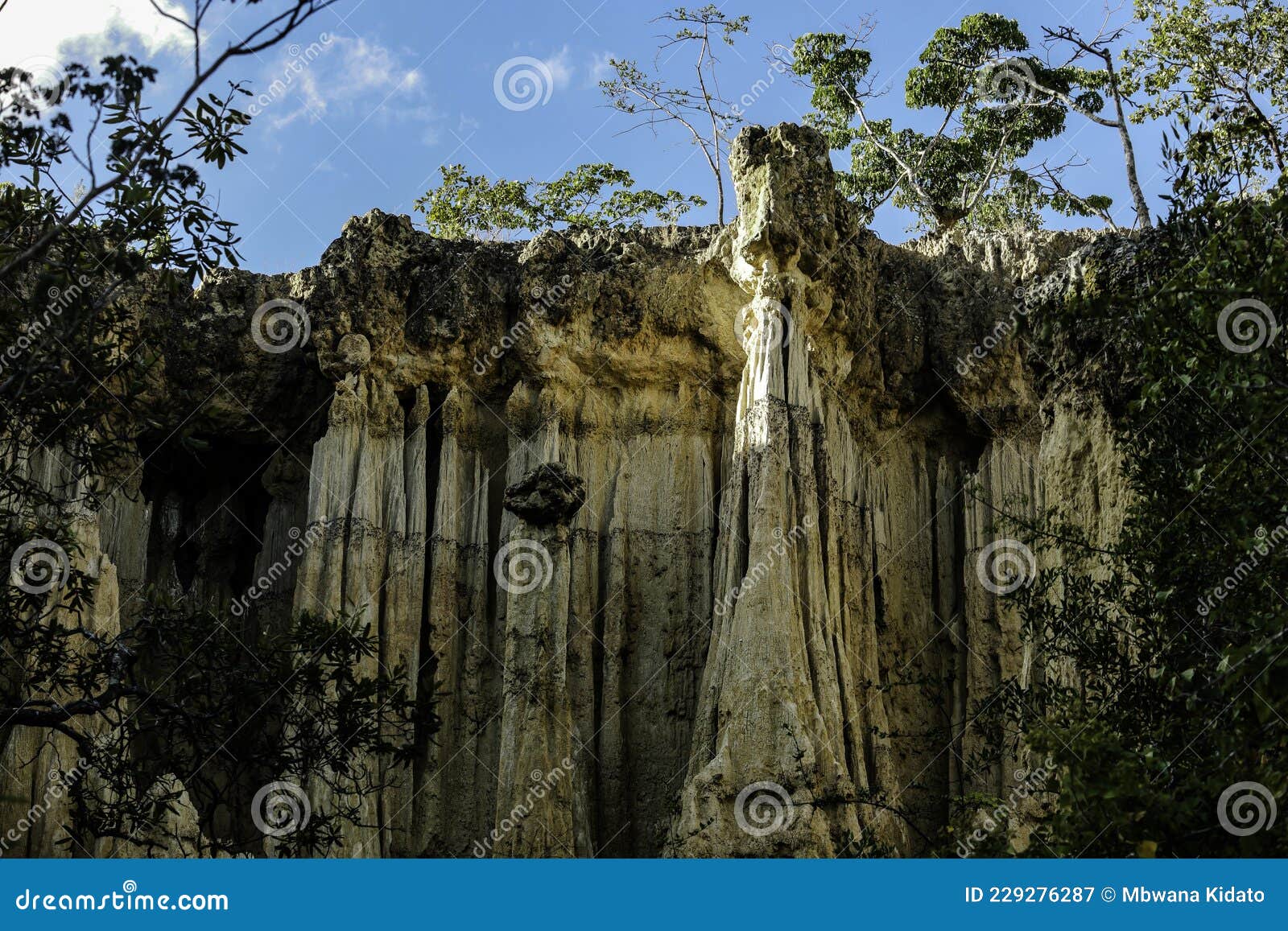 Sand Natural Pillars with Trees on Top Stock Image - Image of standing ...