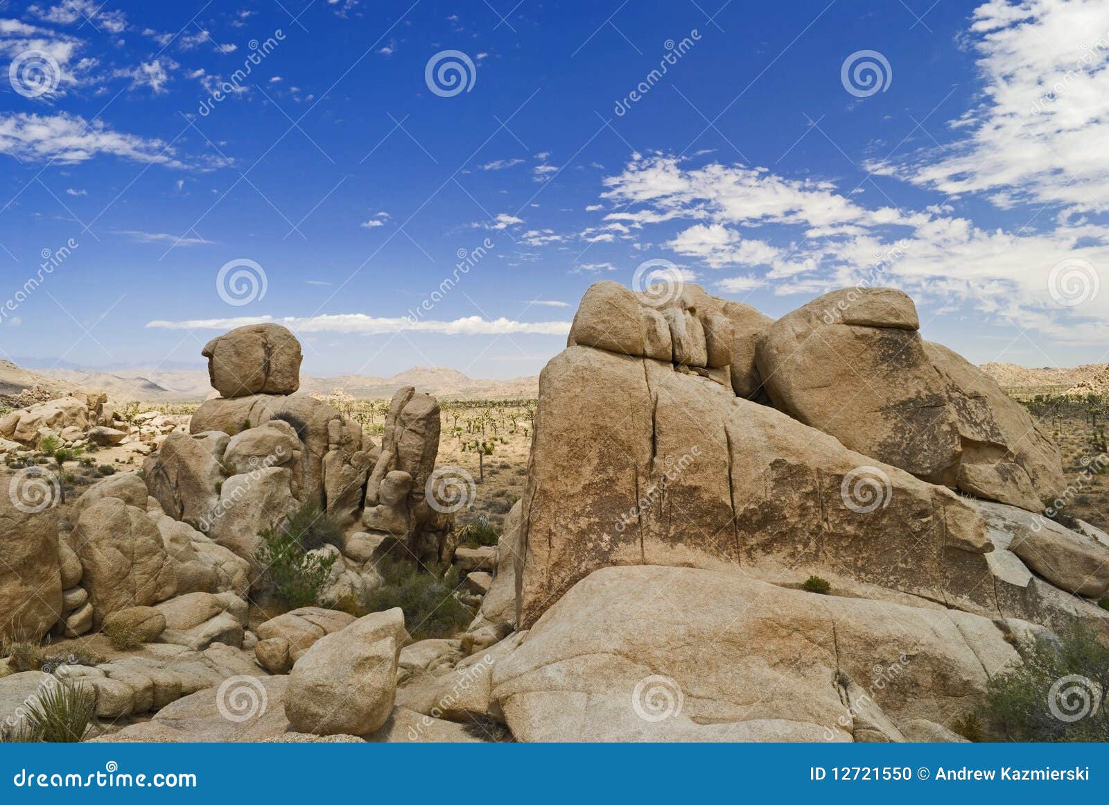 Formation Joshua Tree stock photo. Image of tree, california - 12721550