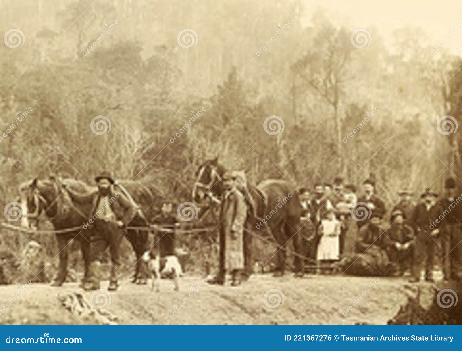 Formation Of Mt Lyell Railway Picture. Image: 221367276