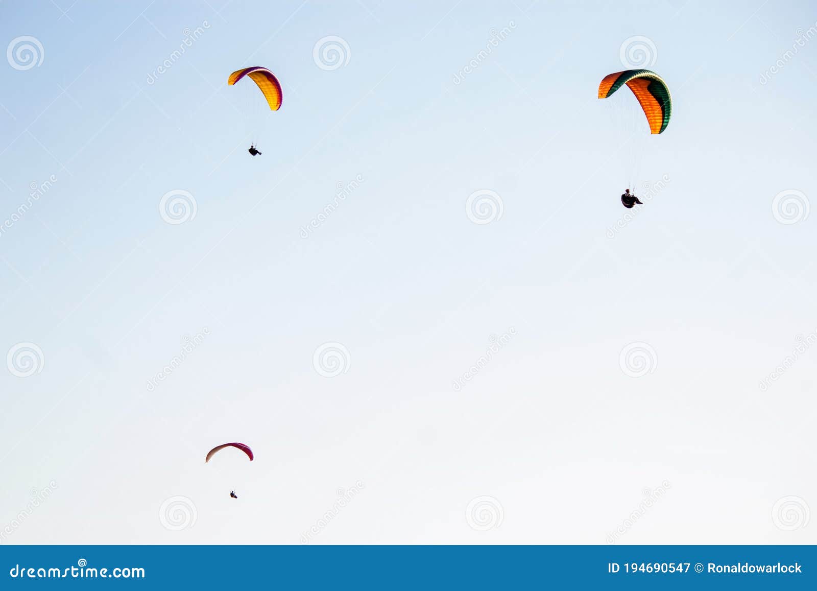 Triangle stock image. Image of grass, brown, coconut - 194690547