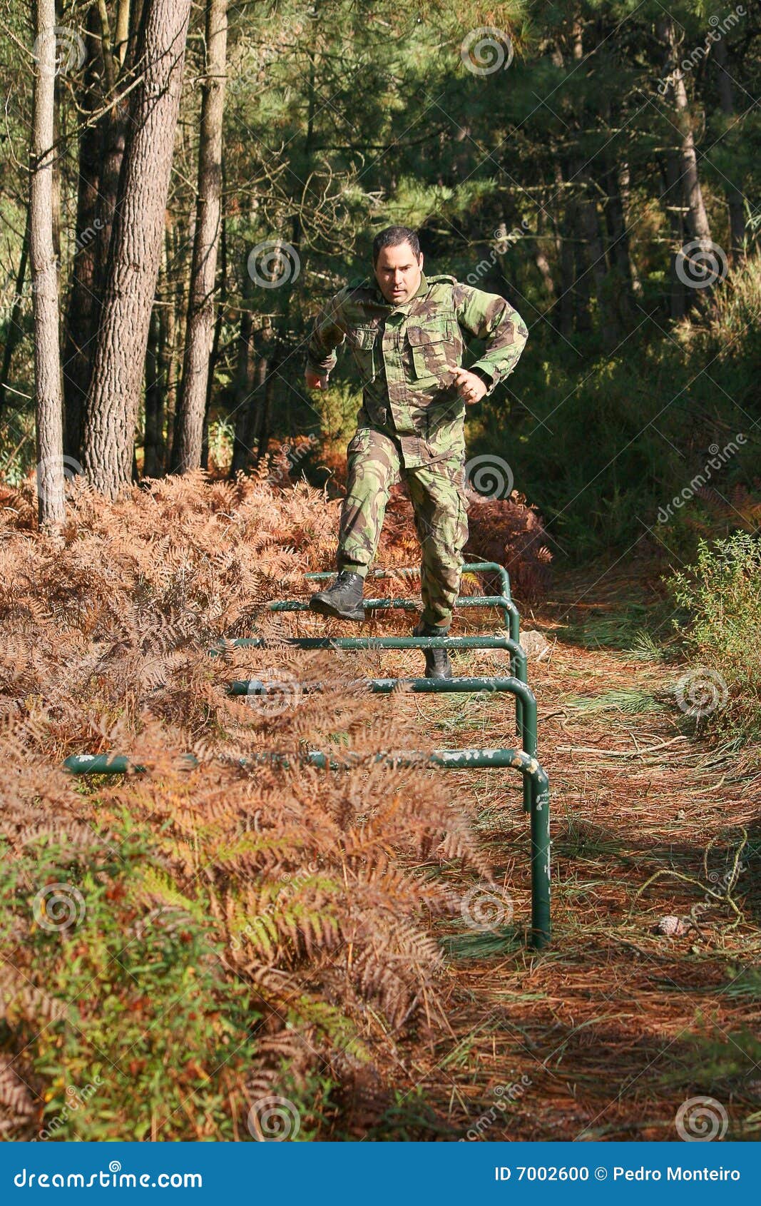 Formation Physique Militaire Photo stock - Image du exercice, combat ...