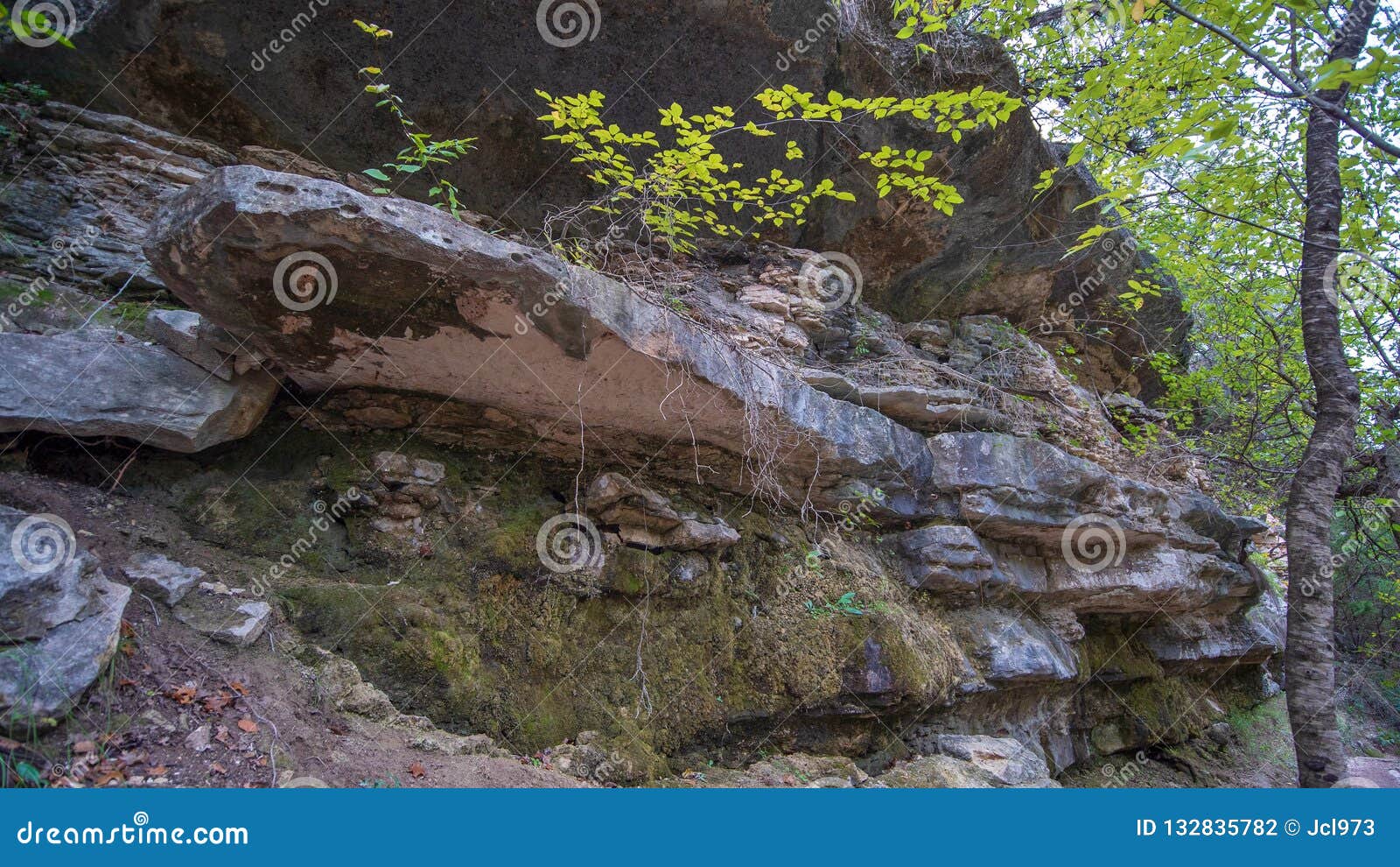 Formation of Rock Layers on Side of Hill Stock Photo - Image of leaf ...