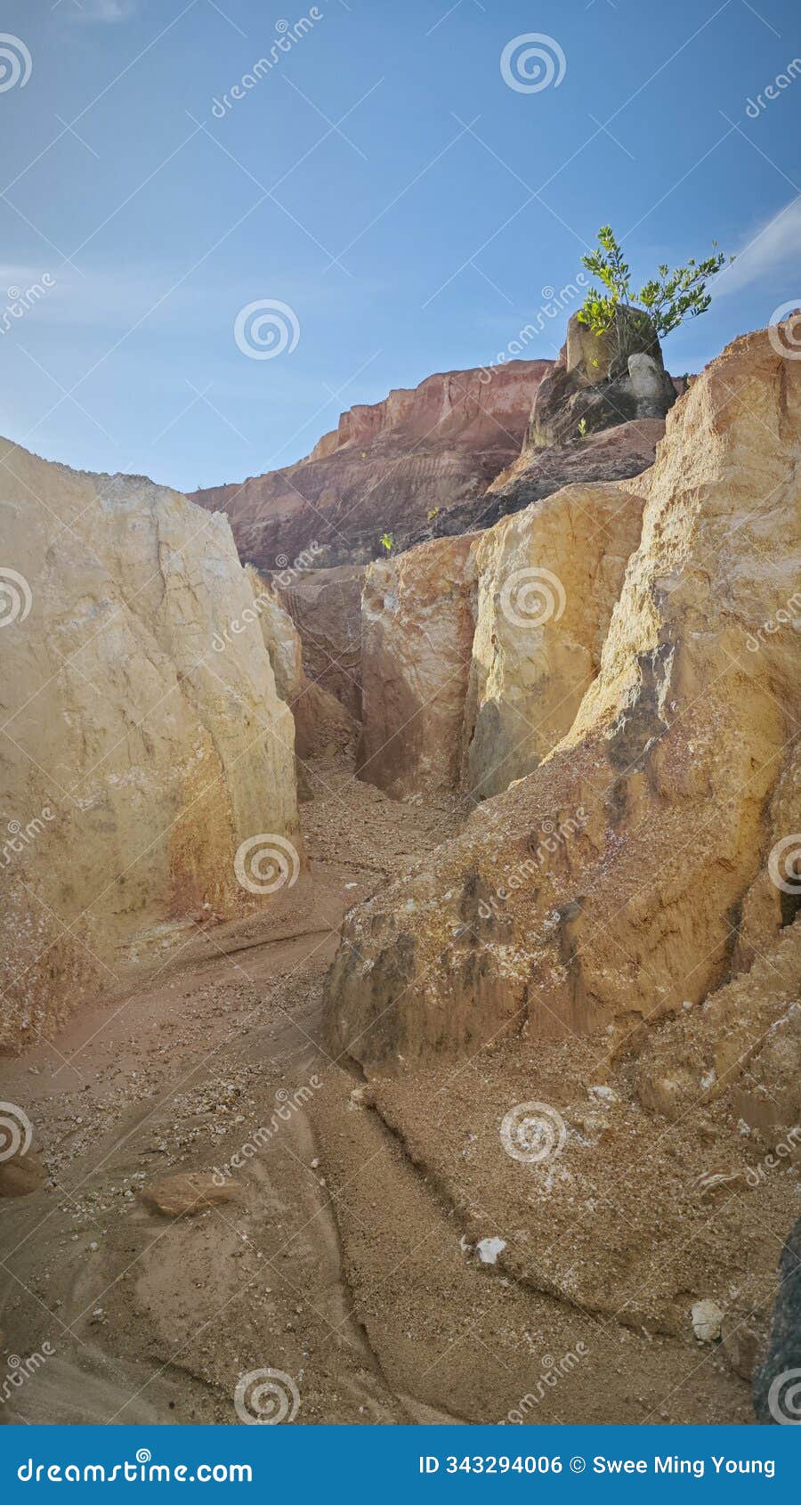 Formation Scene Around the Soil Texture and Pattern of the Limestone ...