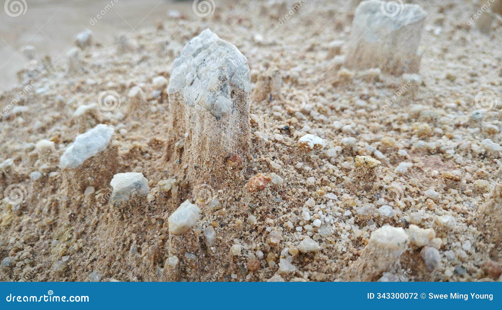 Formation Scene Around the Soil Texture and Pattern of the Limestone ...