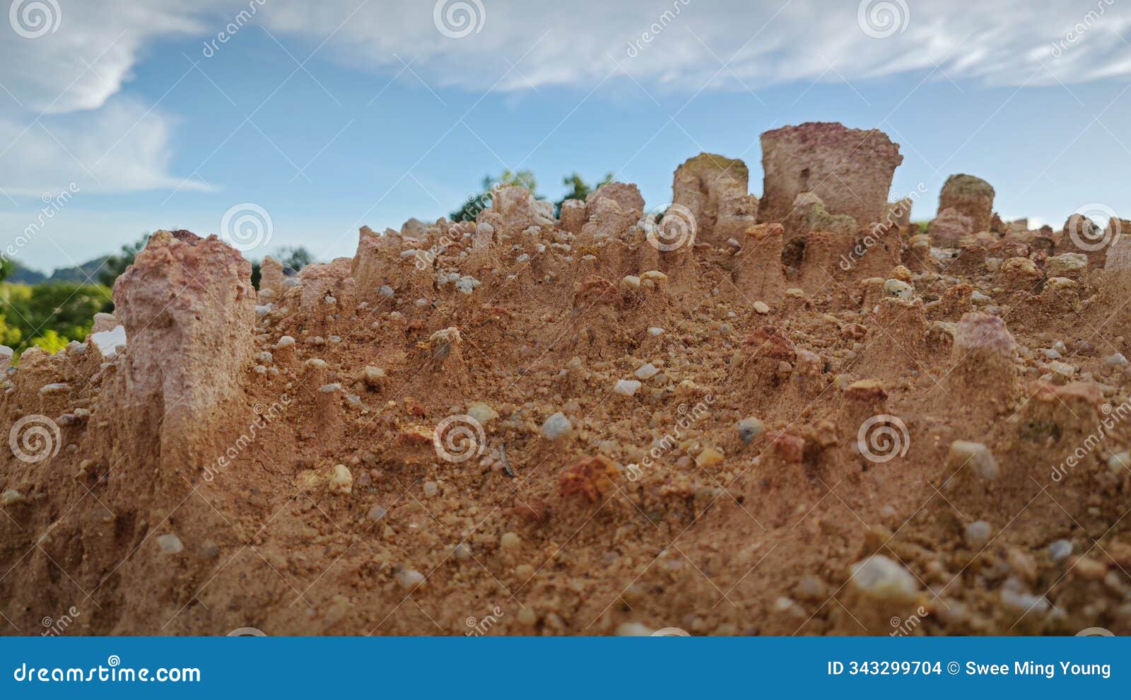 Formation Scene Around the Soil Texture and Pattern of the Limestone ...