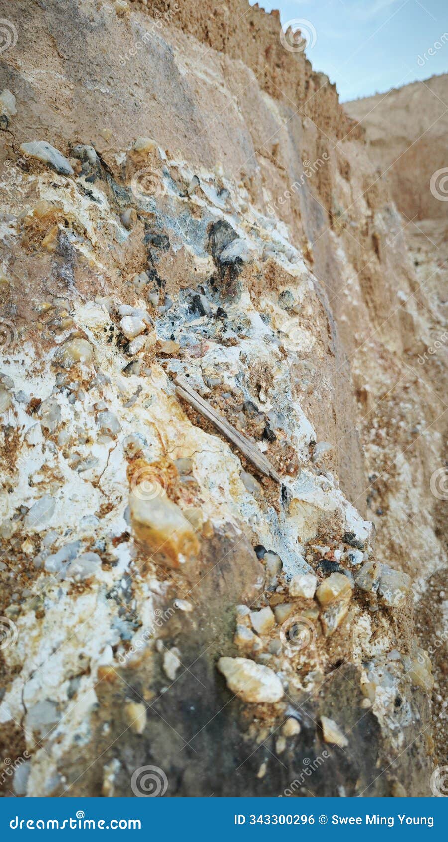 Formation Scene Around the Soil Texture and Pattern of the Limestone ...