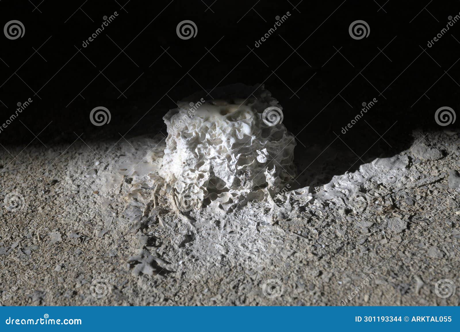 Formations of Calcium Hydroxide on the Concrete Floor of an Abandoned ...