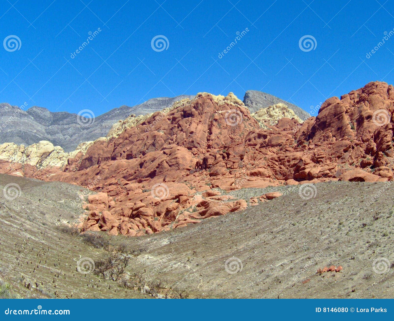 Formations De Roche Dans Le Désert Photo stock - Image du extérieur ...
