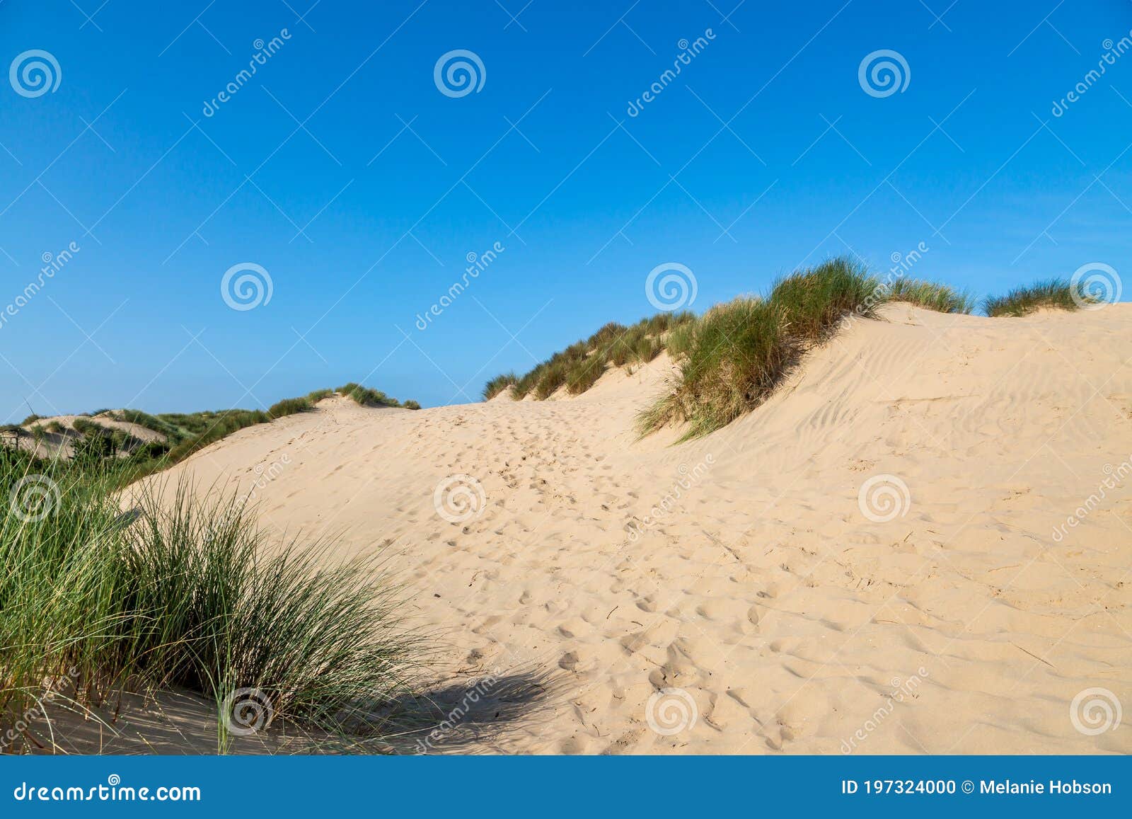 Formby Sand Dunes stock photo. Image of beach, horizontal - 197324000