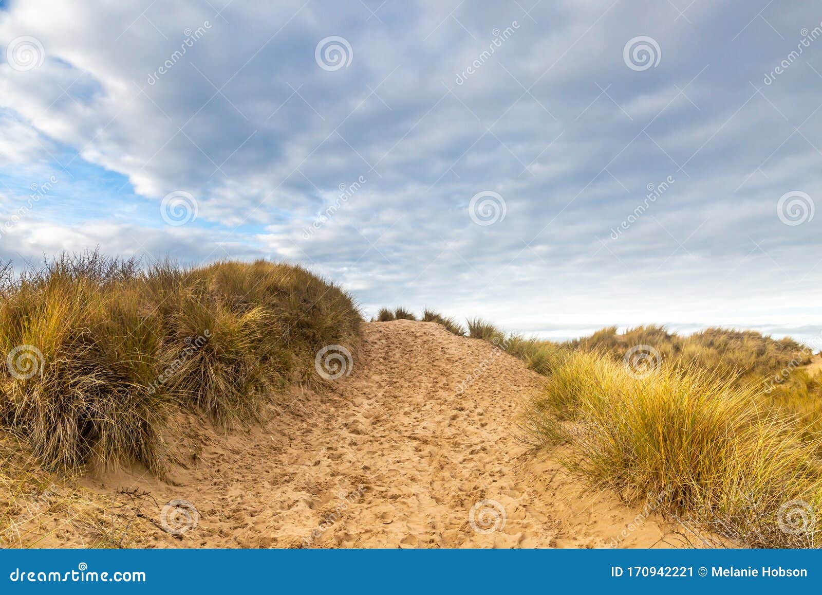 Formby Sand Dunes stock image. Image of destinations - 170942221