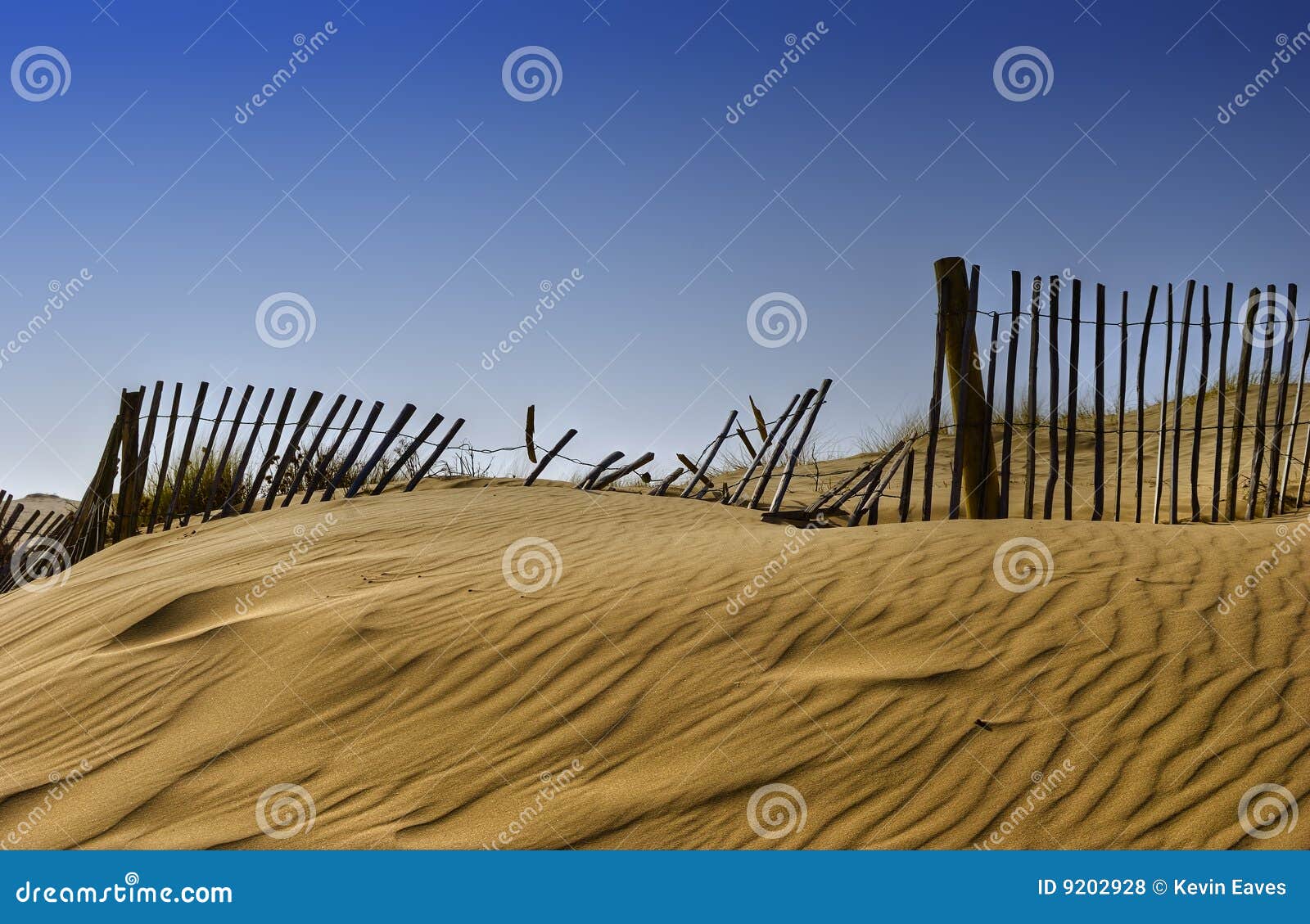 Formby sands beach scene stock photo. Image of habitat - 9202928