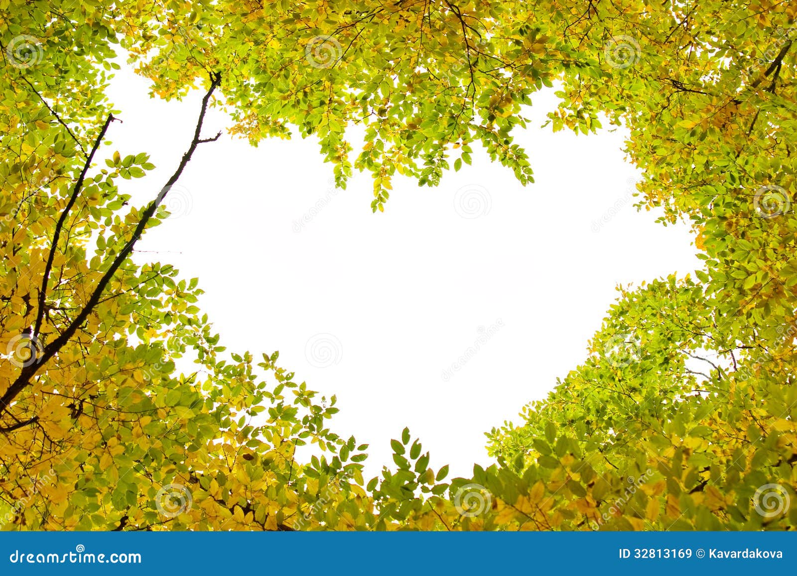 Formed the Heart of Autumn Leaves and Branches Trees Stock Image ...