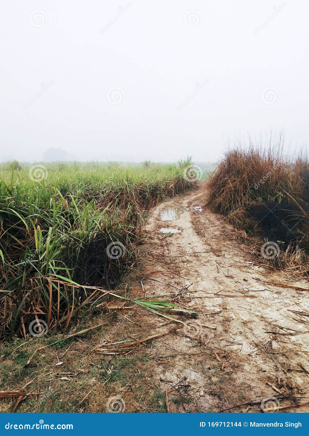 Former Form House Village India Stock Photo - Image of form, india ...