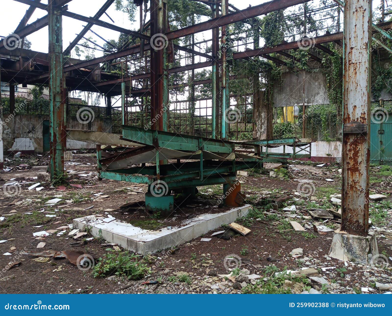 Former tea factory stock photo. Image of factory, country - 259902388