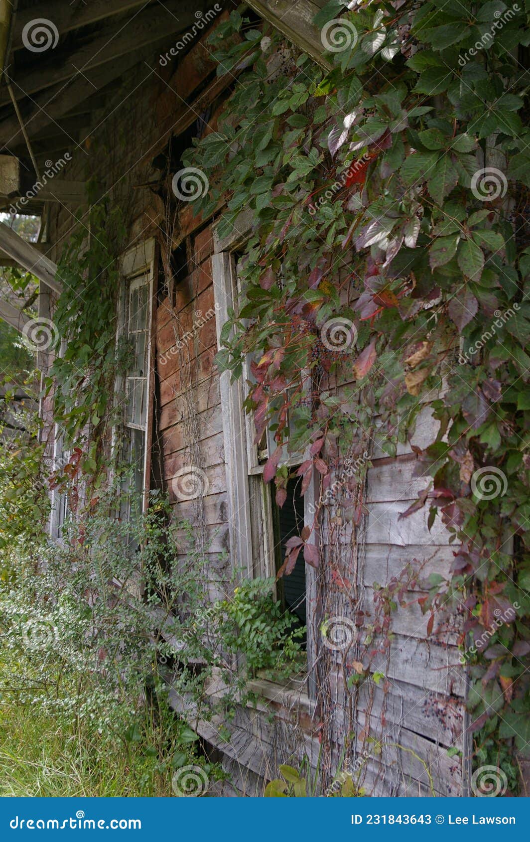 Missing Window Panes in an Abandoned Building Stock Image - Image of ...