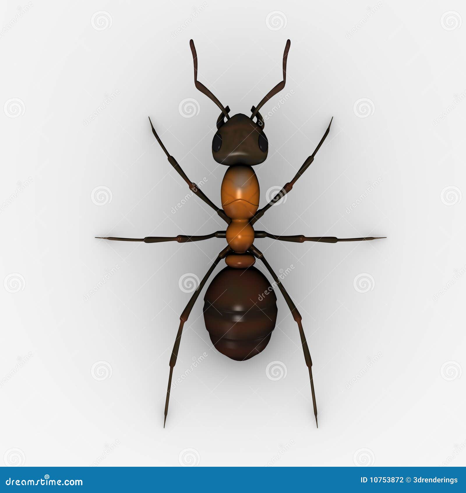 Formica rufa stock illustration. Illustration of garden - 10753872