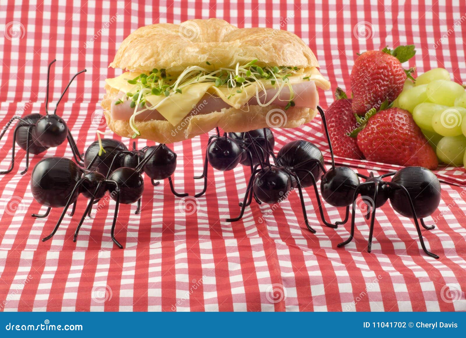 Formiche Che Rubano L'alimento Di Picnic Fotografia Stock - Immagine di ...