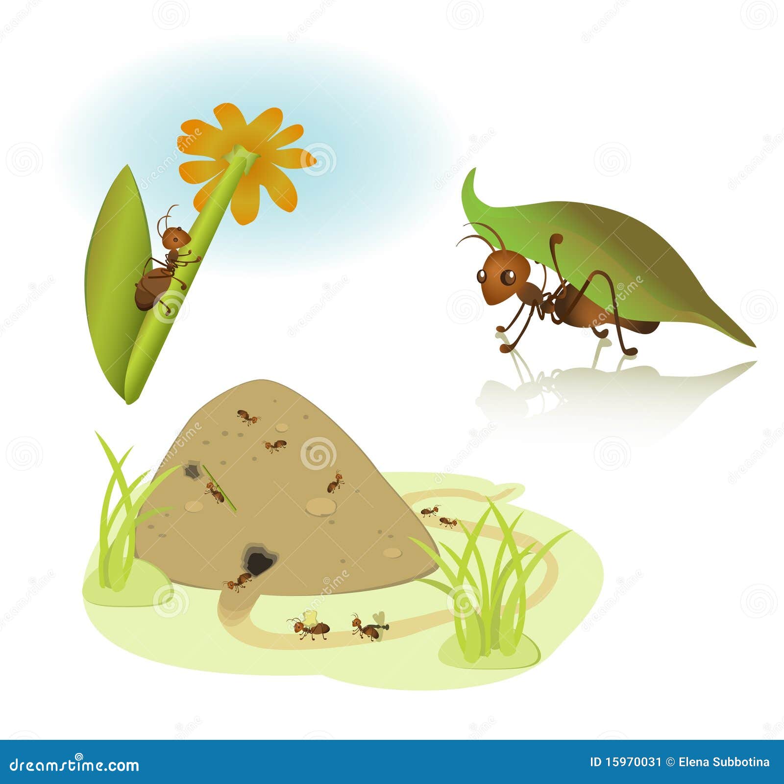 Formiche Del Fumetto Di Vettore Illustrazione Vettoriale ...