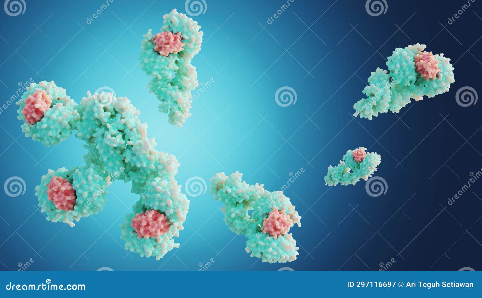 Forming Human Apoptosome Molecule of Apaf-1 Stock Illustration ...