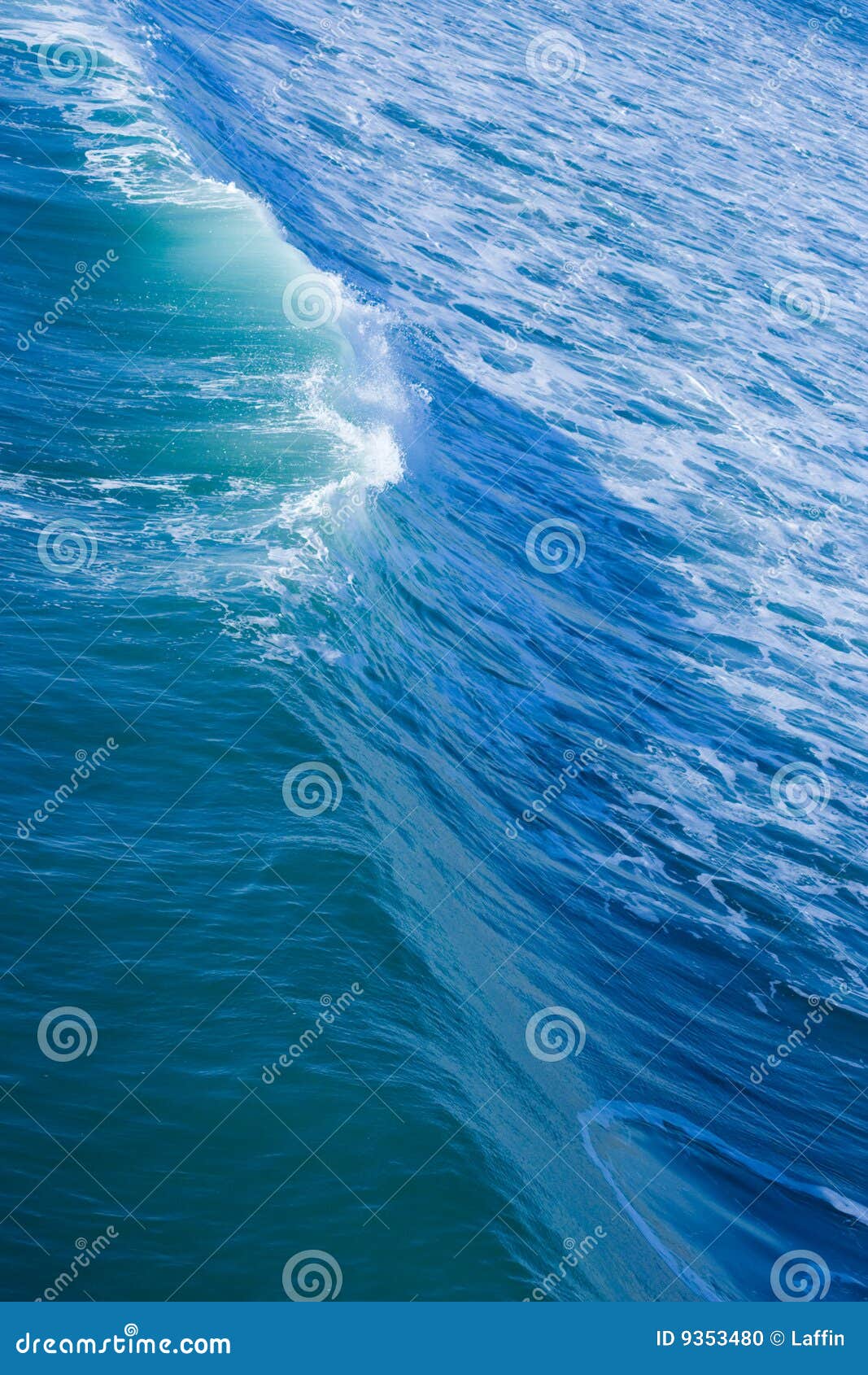 Forming Wave stock photo. Image of whitewater, bright - 9353480
