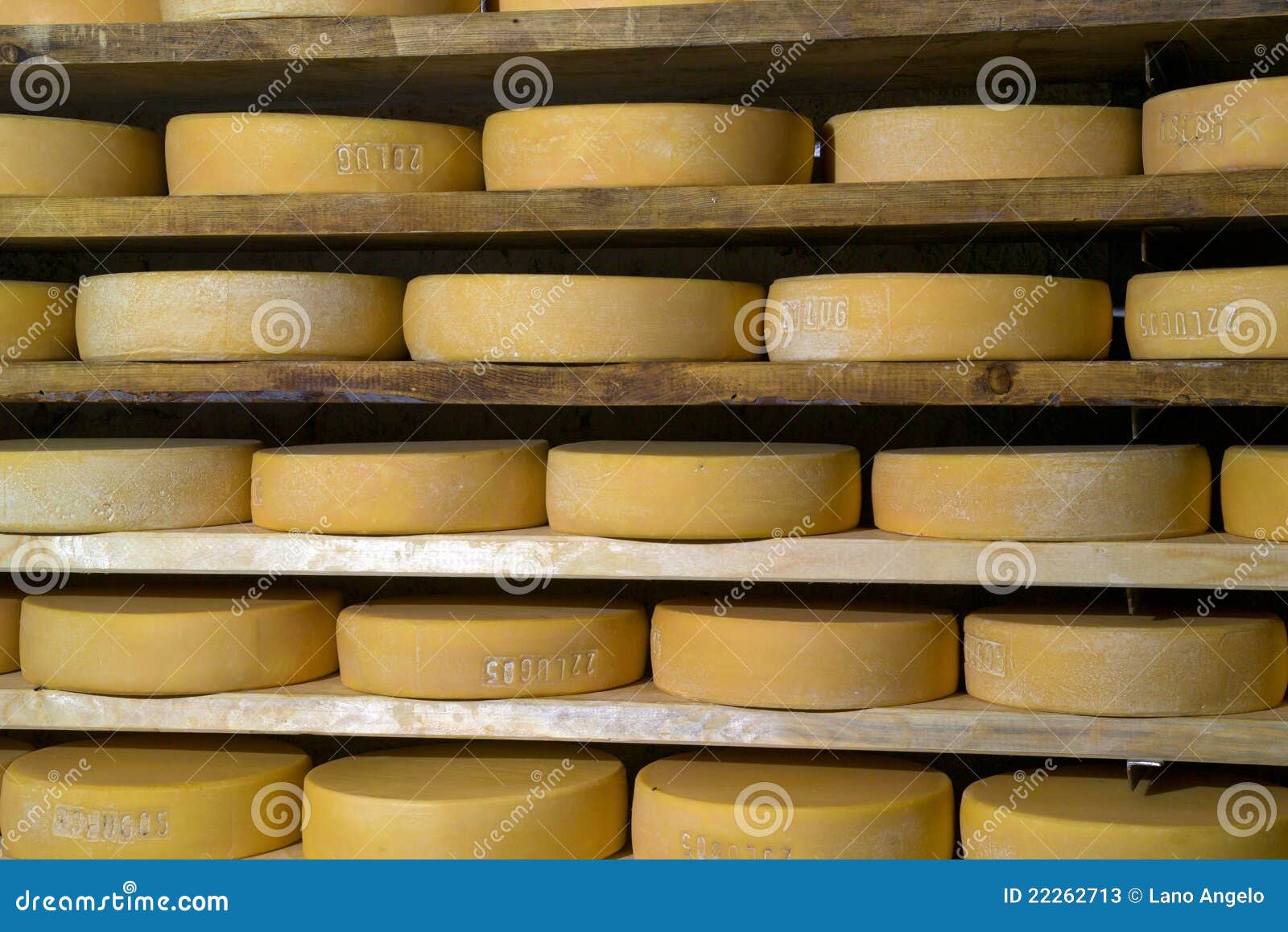 Forms of cheese stock image. Image of agriculture, ripe - 22262713
