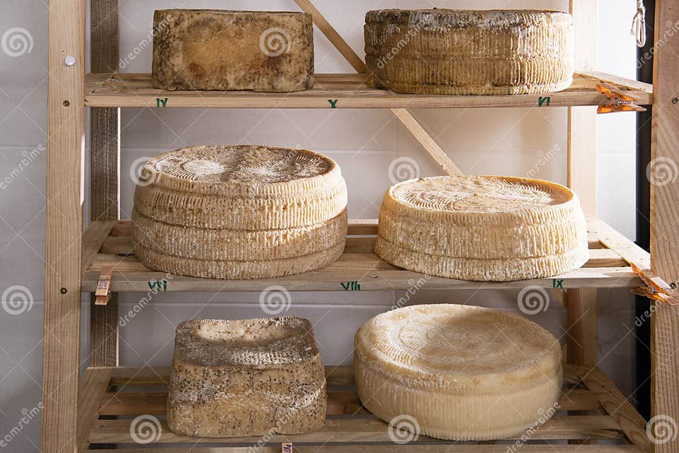Forms of Cheese on the Shelf for Maturing Stock Image - Image of maker ...