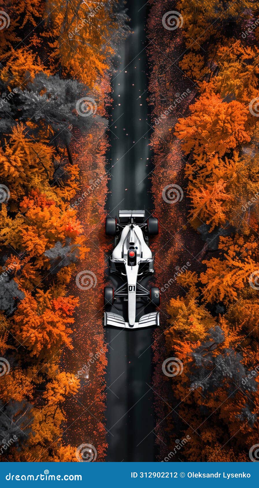 Formula 1, Car Rushes Along a Highway in the Forest Stock Illustration ...