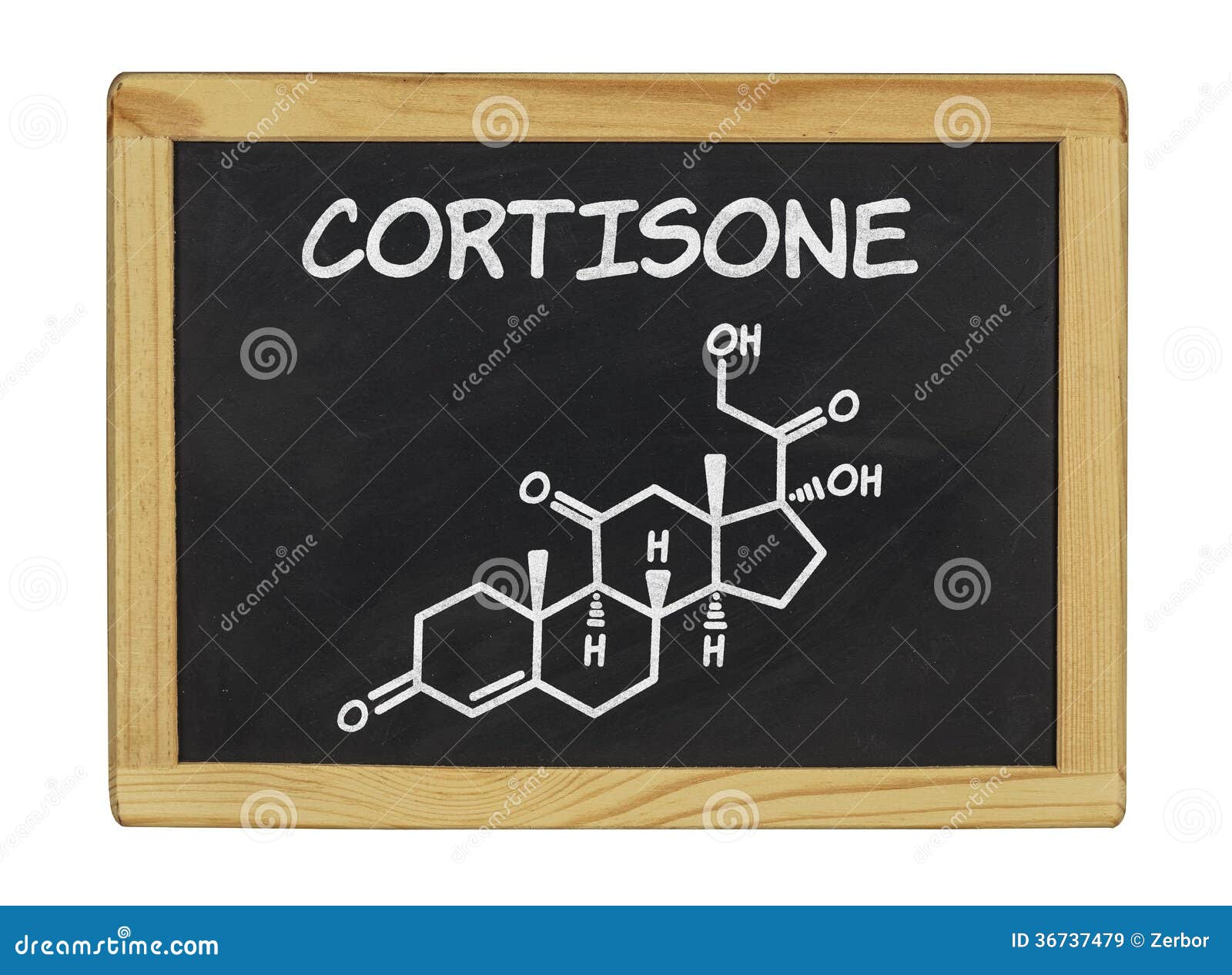 Formula Chimica Di Cortisone Su Una Lavagna Immagine Stock - Immagine ...