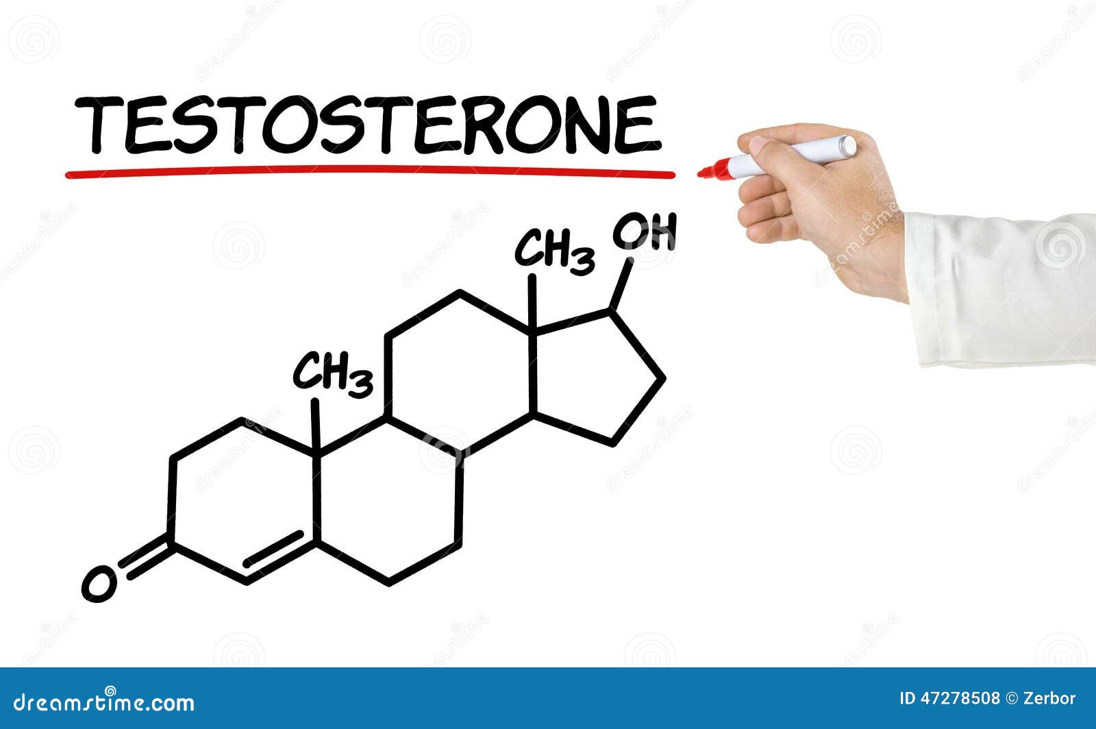 Formula Chimica Di Testosterone Fotografia Stock - Immagine di maschio ...