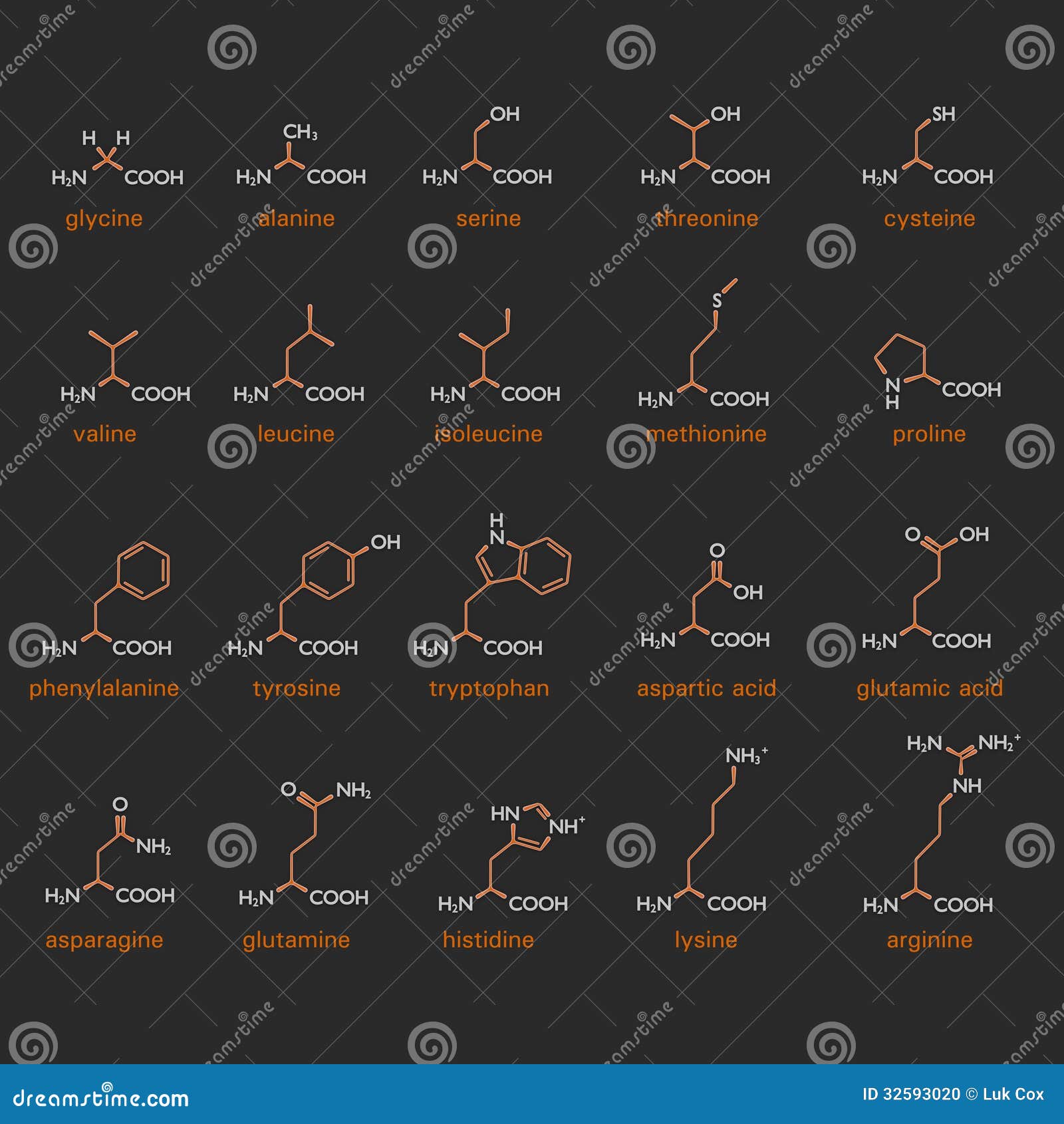 Amino Acids Icon Vector From Vitamin Collection. Thin Line Amino Acids ... Amino Acids Icon Vector From Vitamin Collection. Thin Line Amino Acids ...