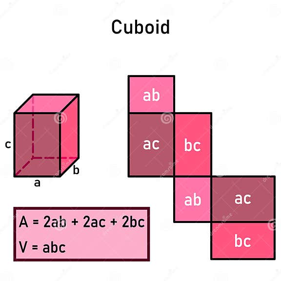 Formulas for the Area and Volume of a Cuboid Stock Illustration ...