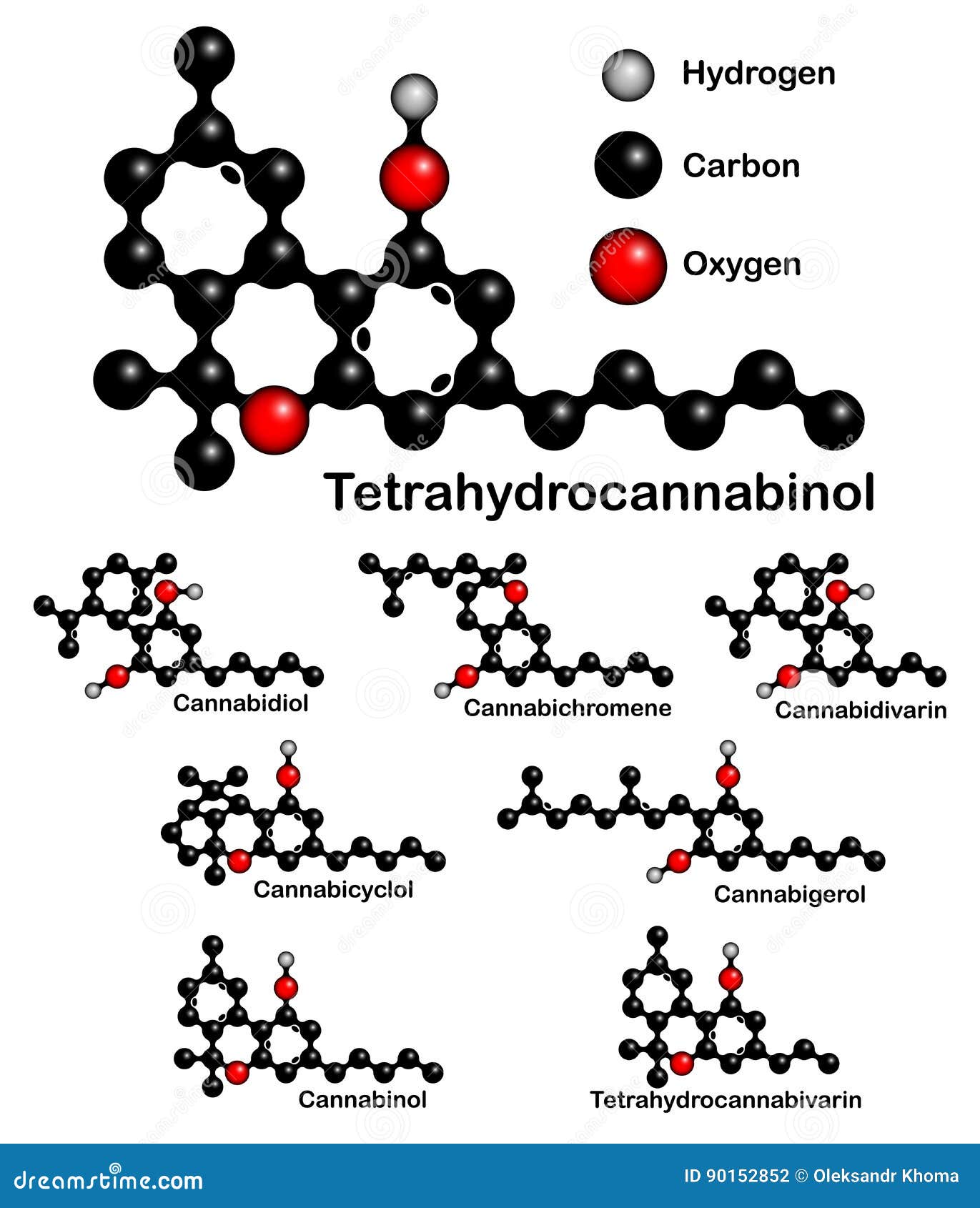 Formule Chimiche Dei Cannabinoidi Naturali Illustrazione Vettoriale ...